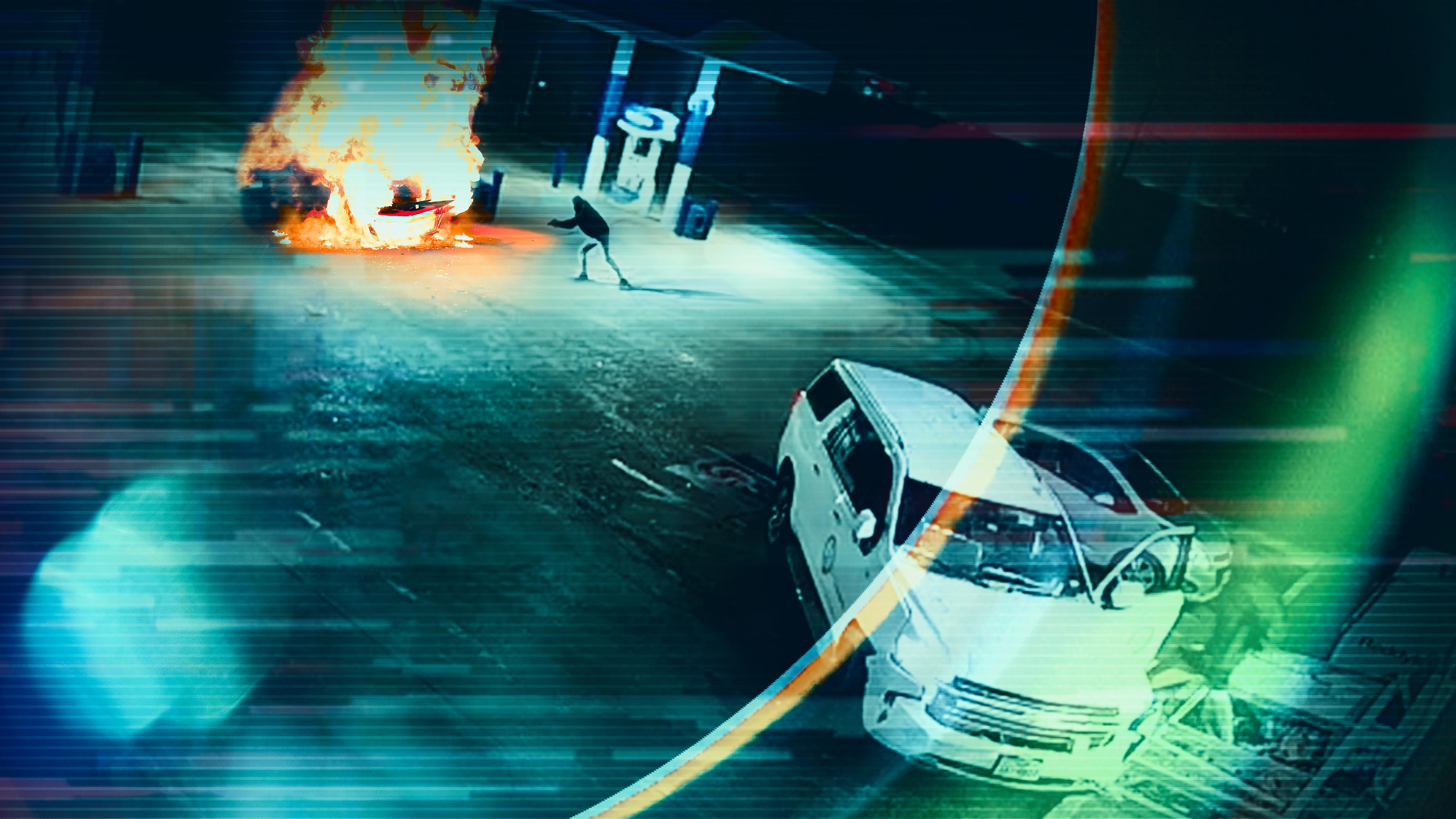 Crimes Gone Viral: Public Panic