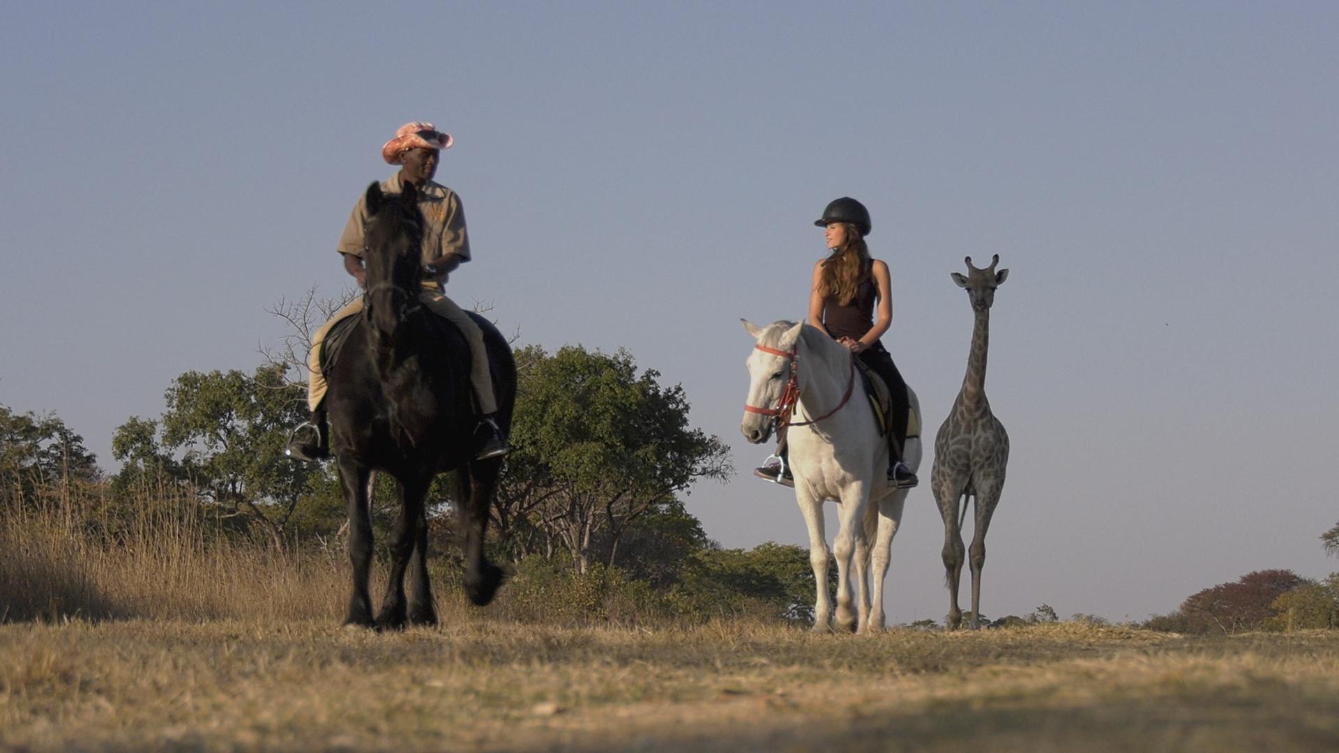 Epic Safari Encounters: Pamuzinda Safari Lodge