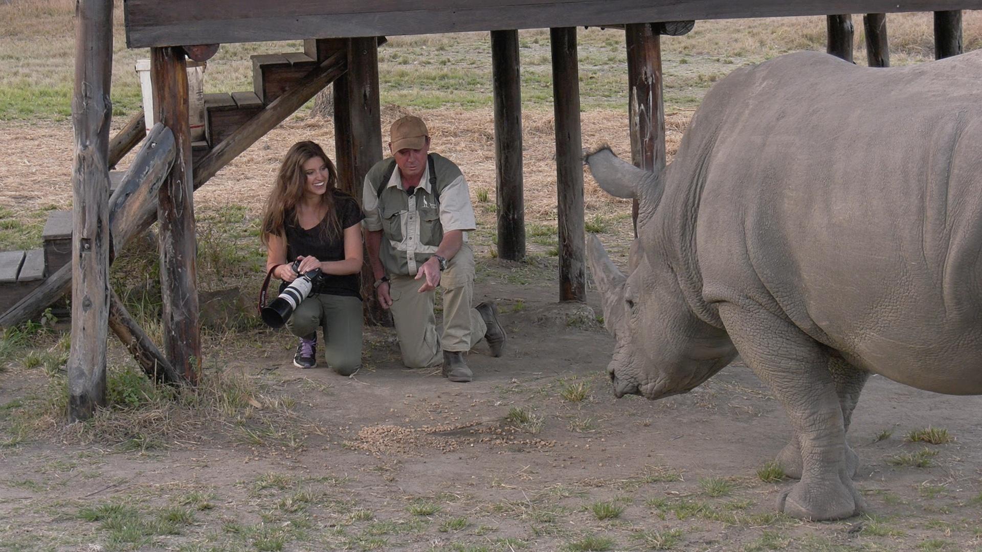 Epic Safari Encounters: Thetford Estates