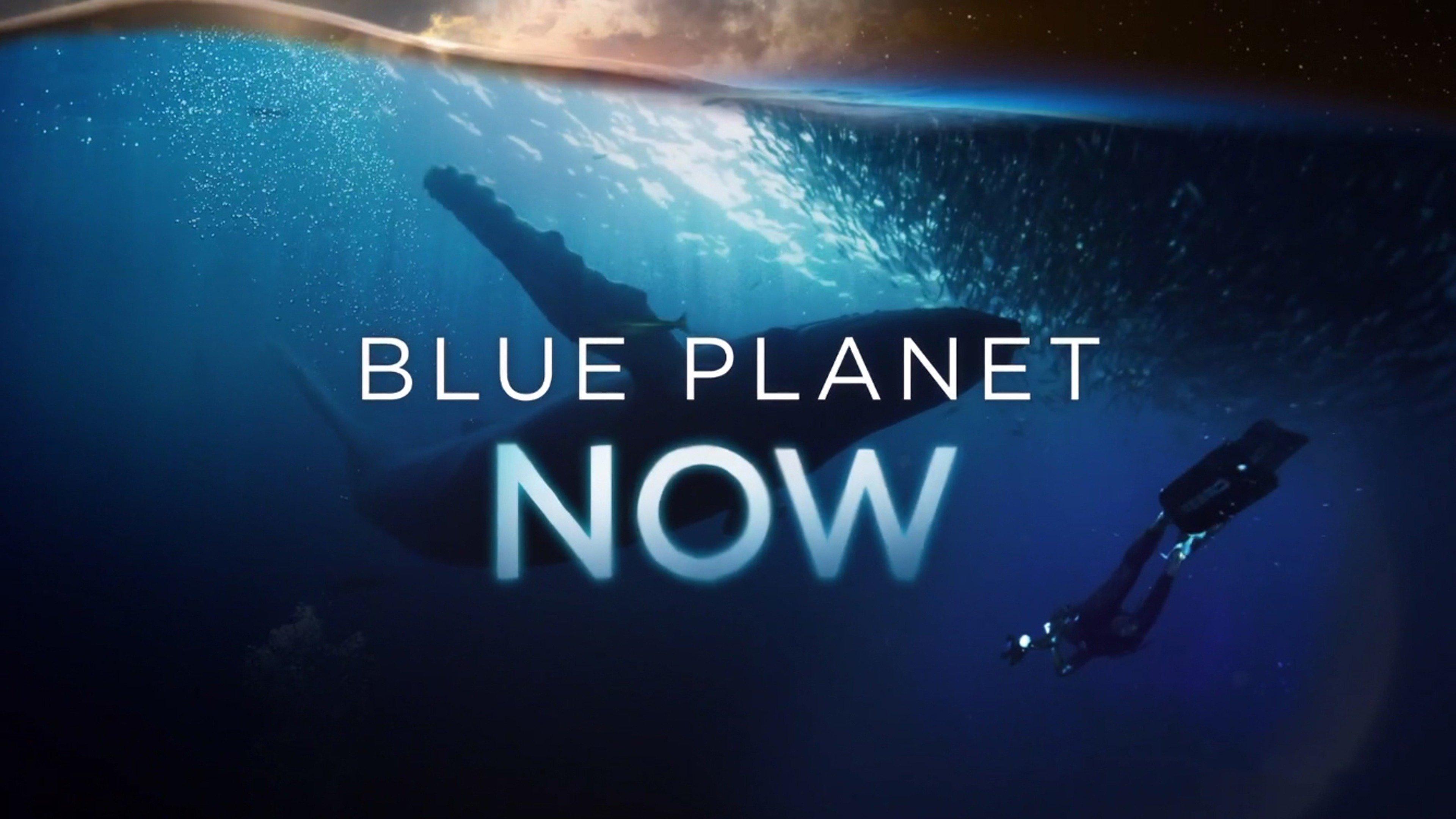 Watch Blue Planet Now Streaming Online on Philo (Free Trial)