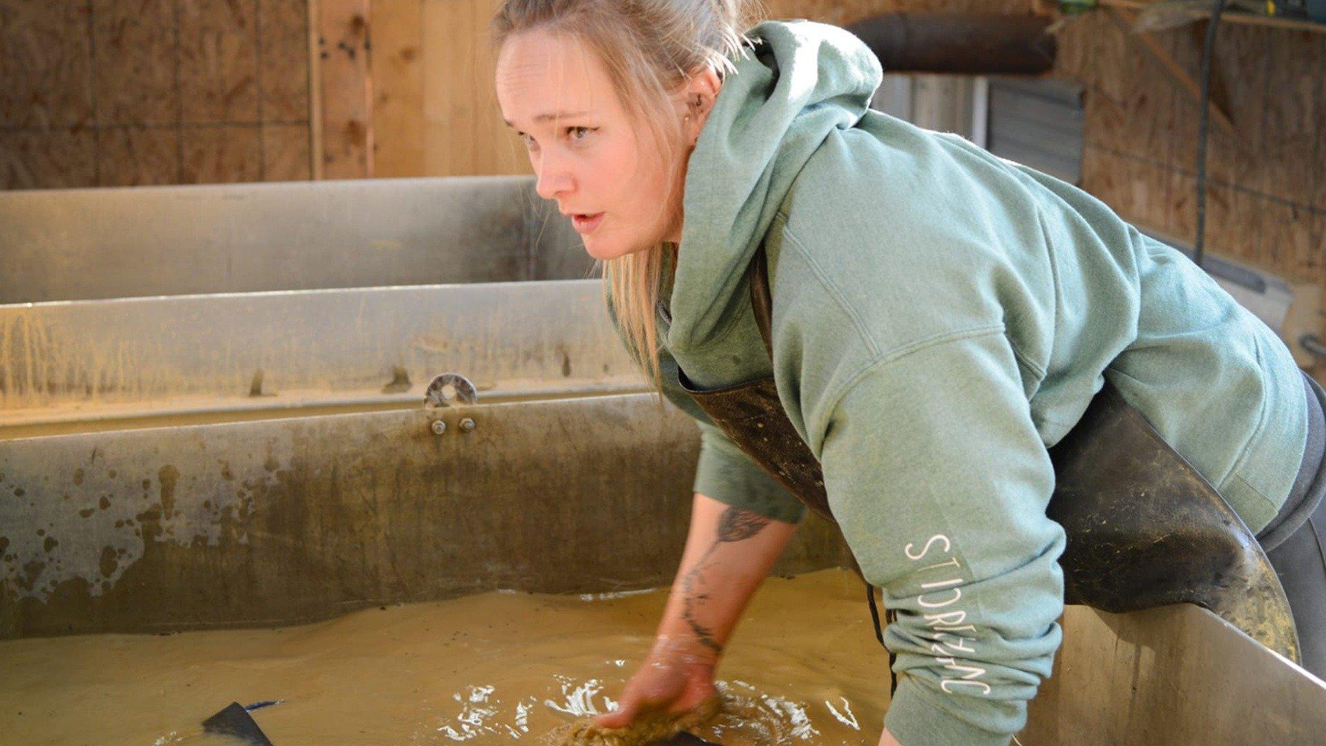 Gold Rush: Breaking the Piggy Bank