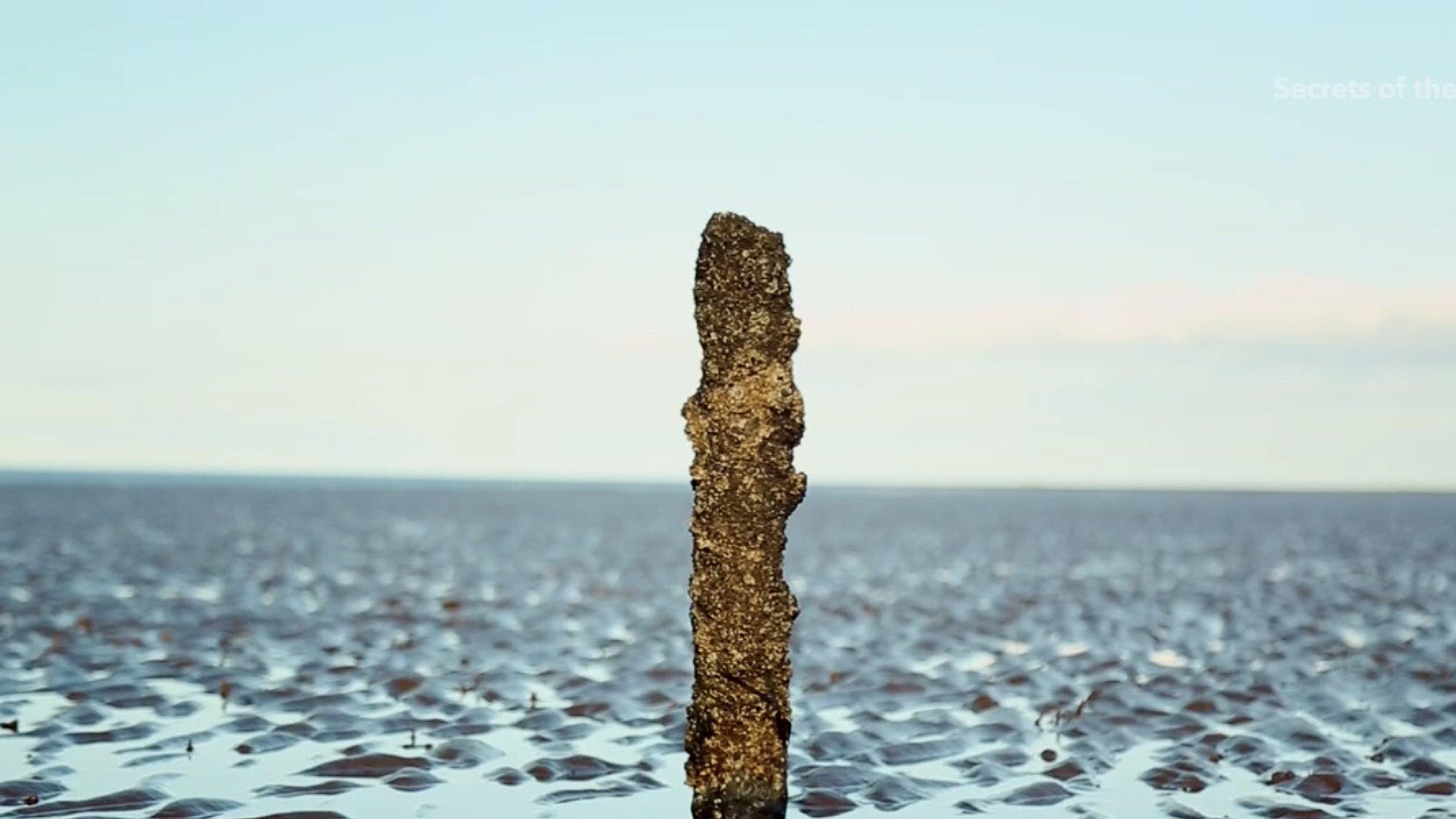 Unearthed: Secrets of Seahenge