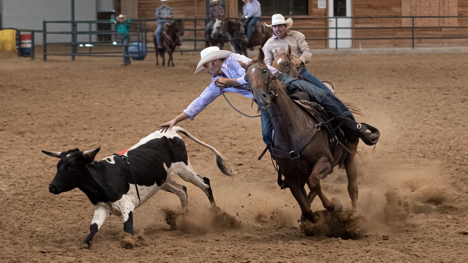Ultimate Cowboy Showdown: Who's the Cowboss?