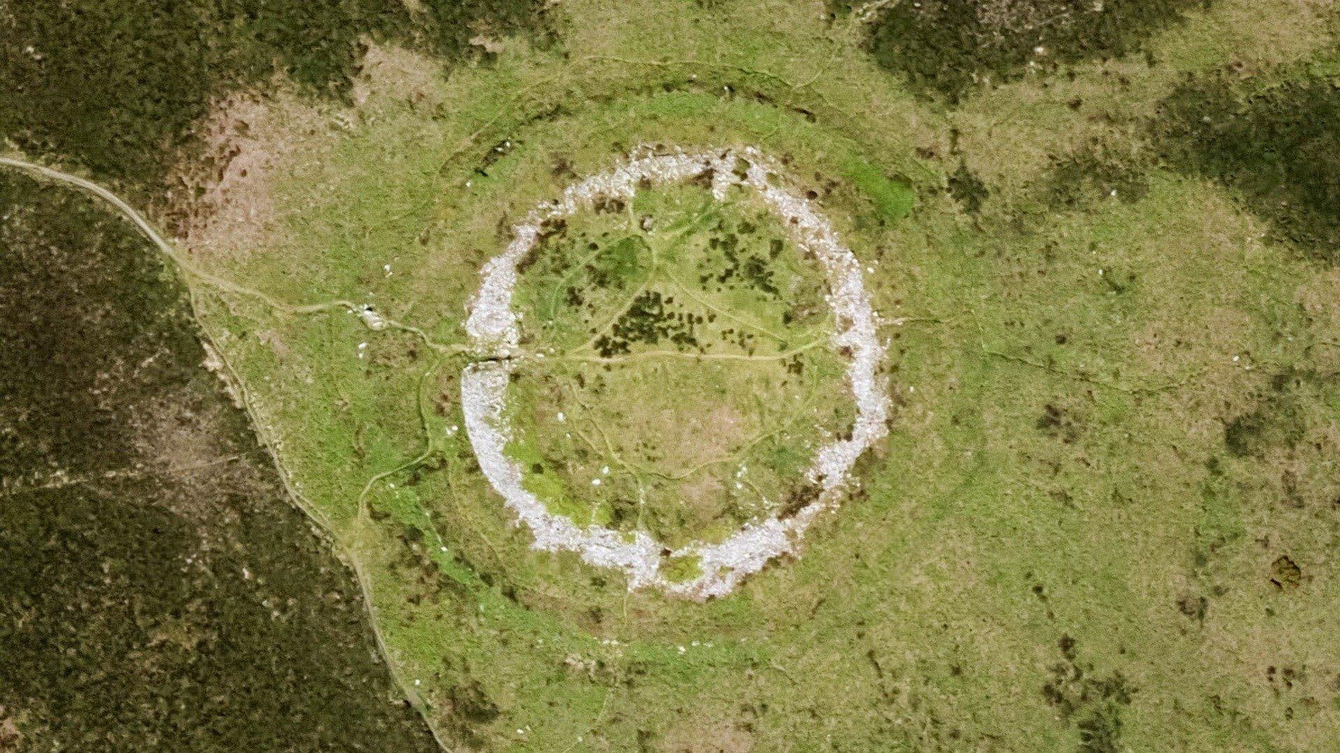 What on Earth?: Curse of the Amazon Nazis