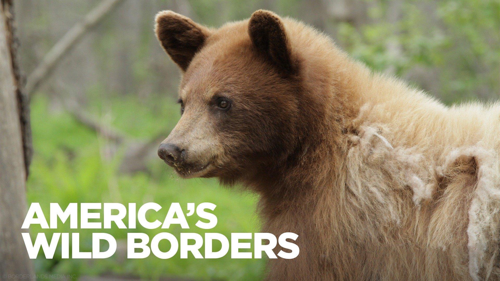 Watch America's Wild Border Streaming Online on Philo (Free Trial)