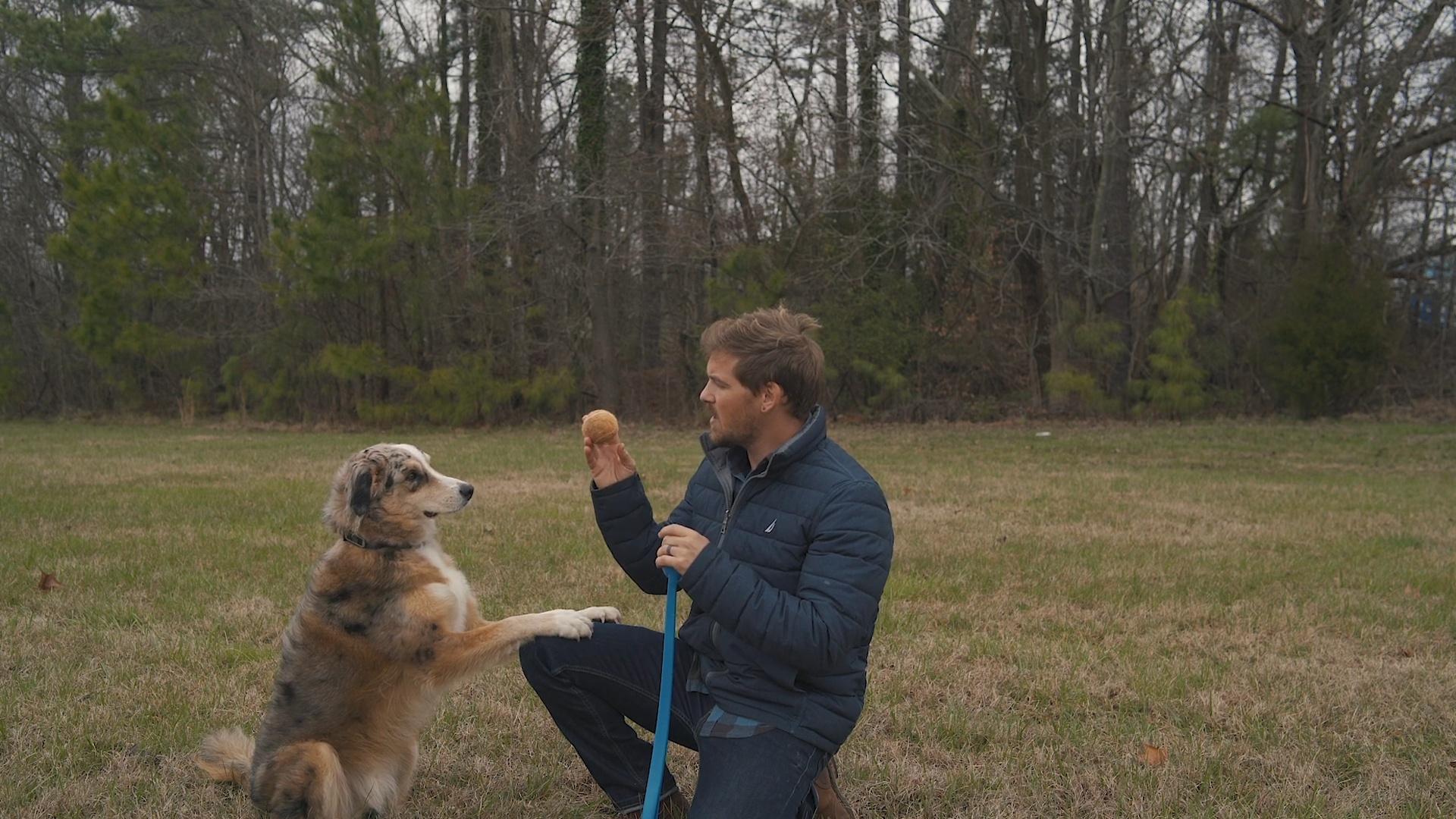 Becoming Borderless: Build a Ladder