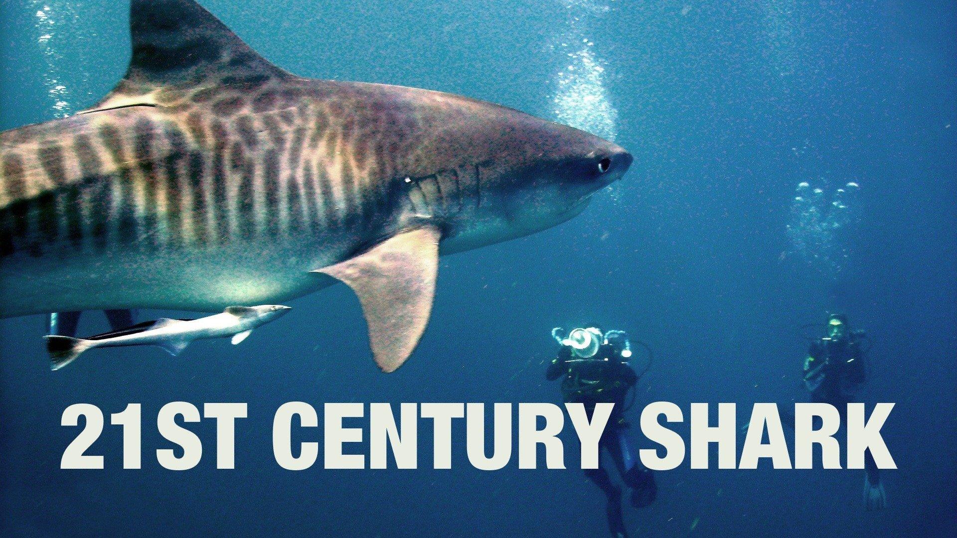 Watch 21st Century Shark Streaming Online on Philo (Free Trial)