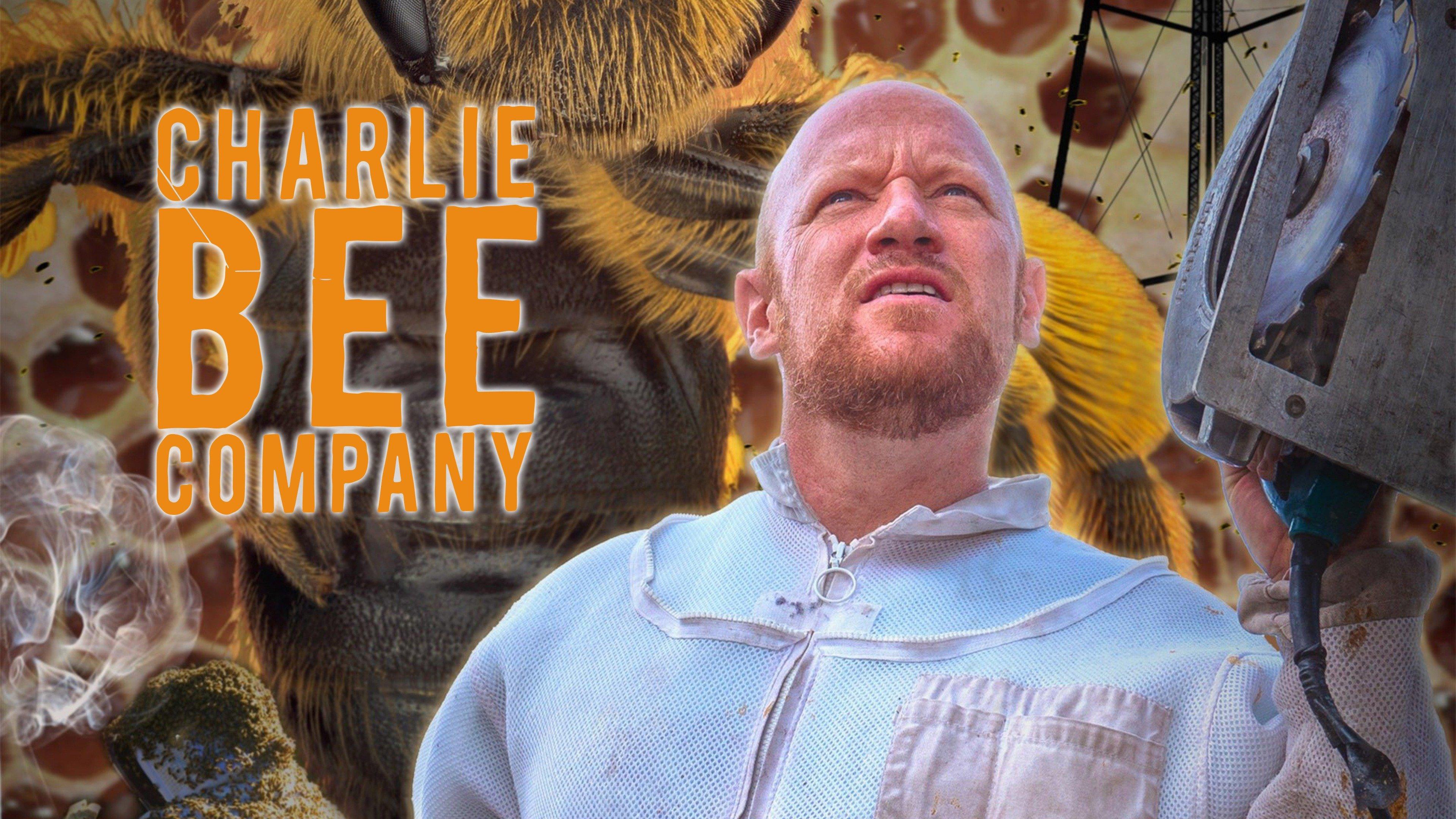 Watch Charlie Bee Company Streaming Online on Philo (Free Trial)
