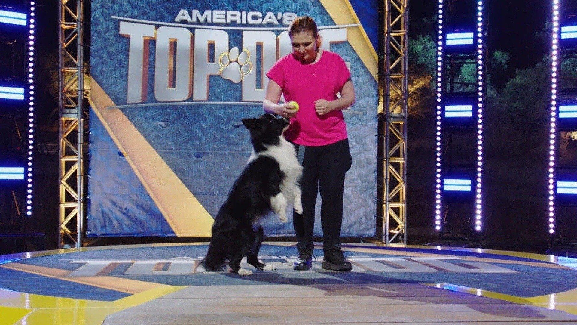 Watch America's Top Dog: S2E5 - Tricks, Trials and Takedowns on Philo ...
