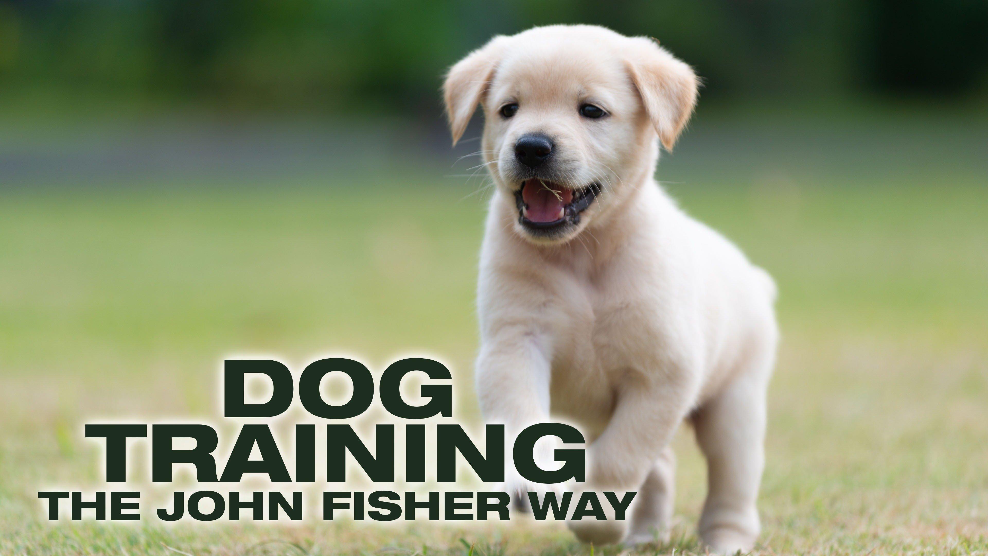 Watch Dog Training: The John Fisher Way Streaming Online on Philo (Free ...