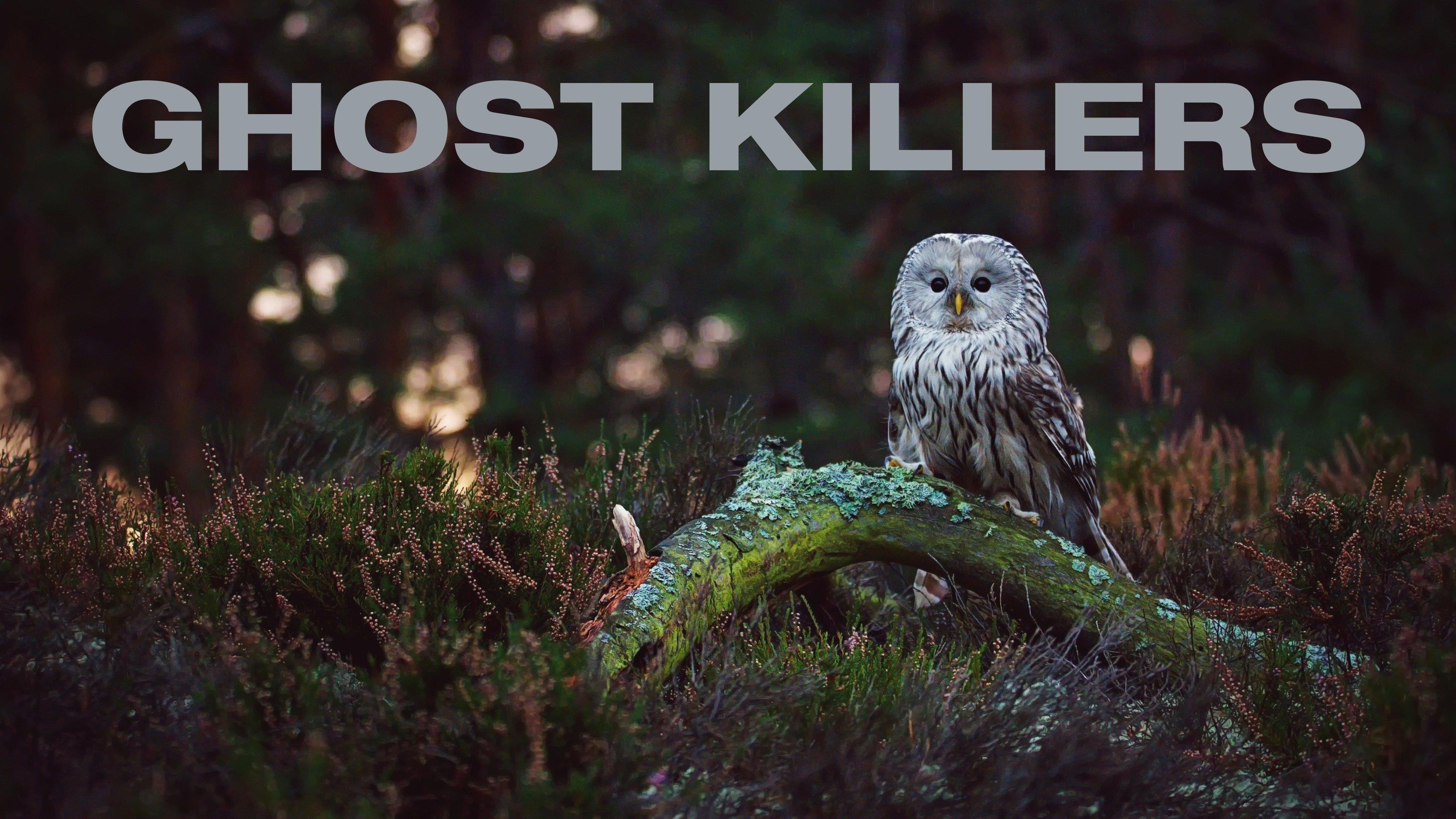 Watch Ghost Killers Streaming Online on Philo (Free Trial)