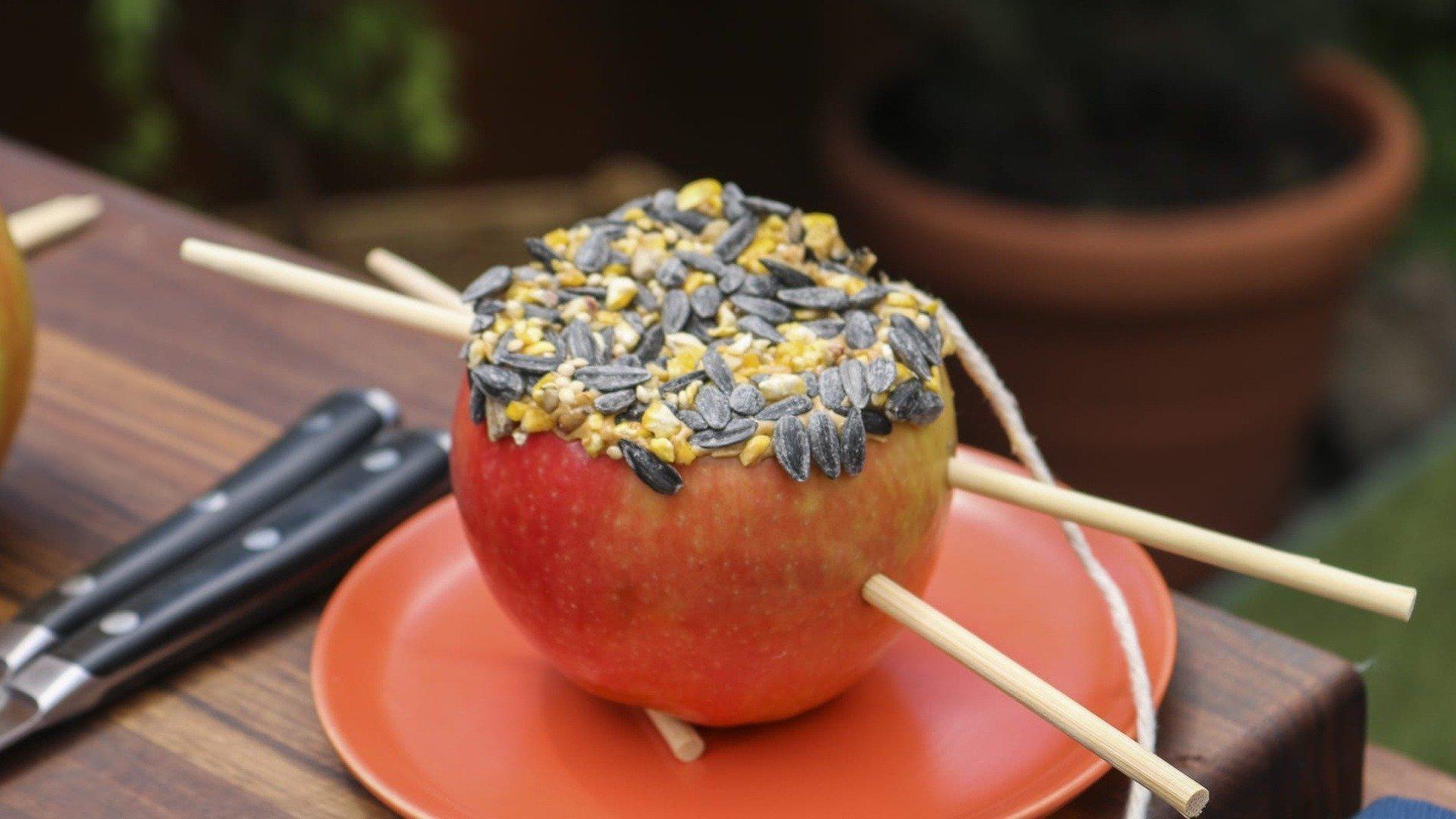 The Kitchen: Pick Your Own