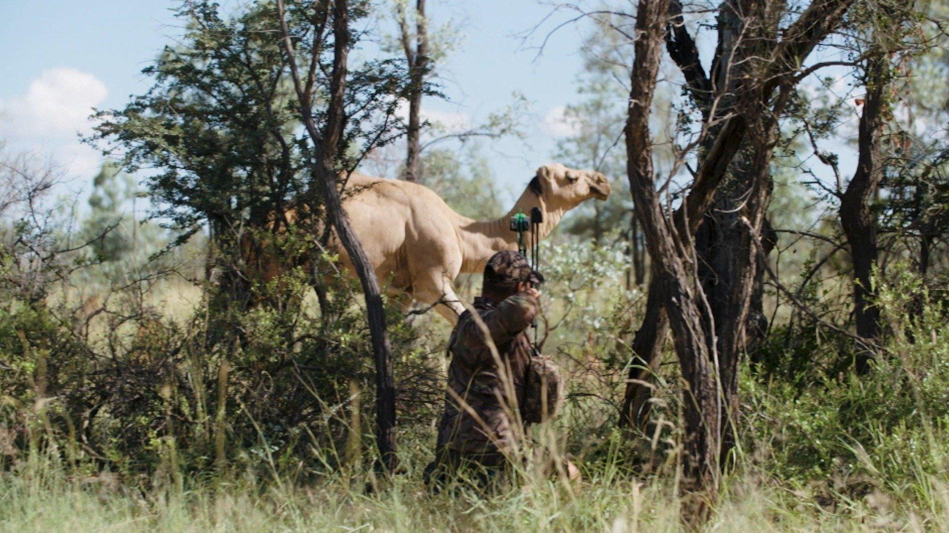 Man Eats Wild: Deadly Outback
