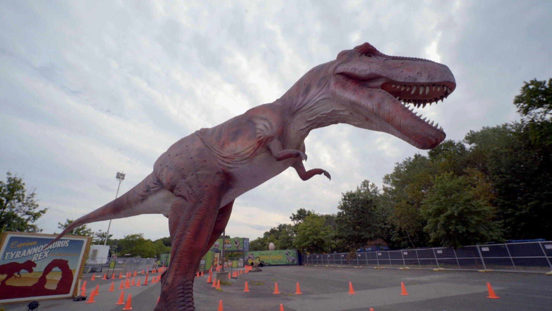 Shipping Wars: T-Wrecks