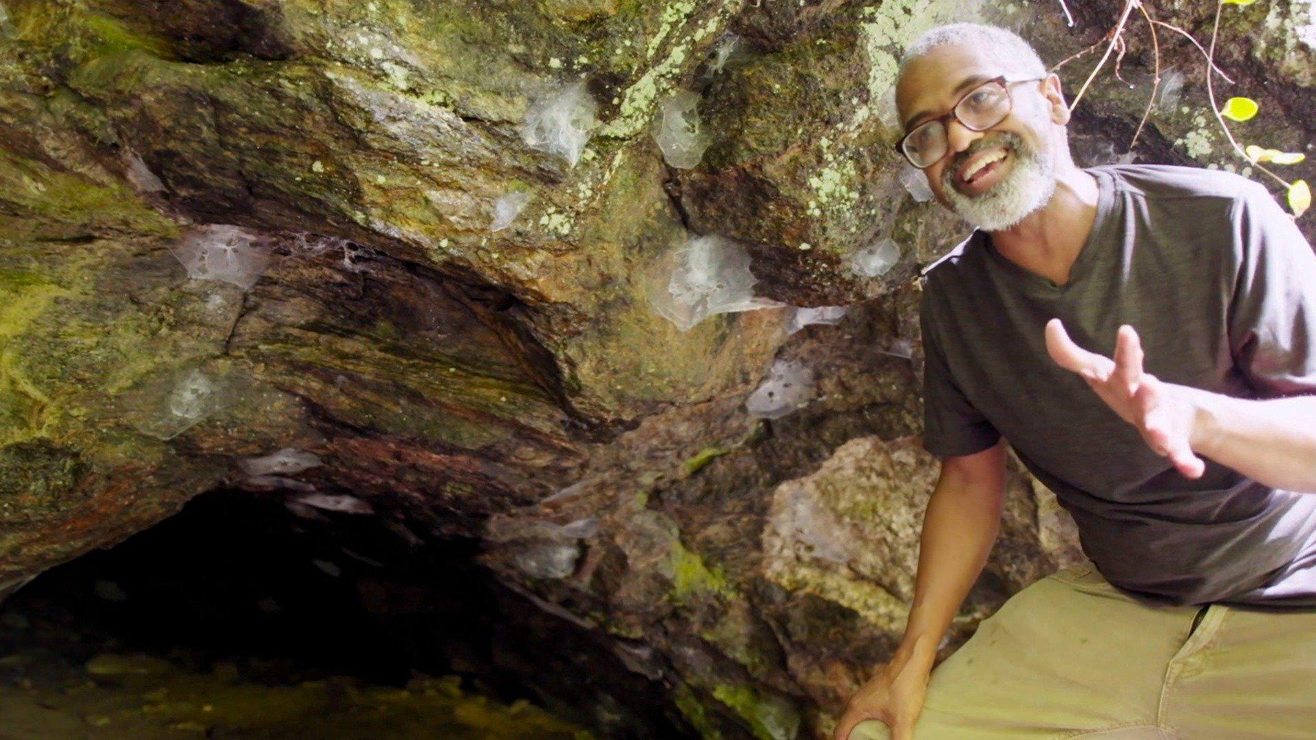 Underground Railroad: The Secret History: Contradictions Along the Atlantic