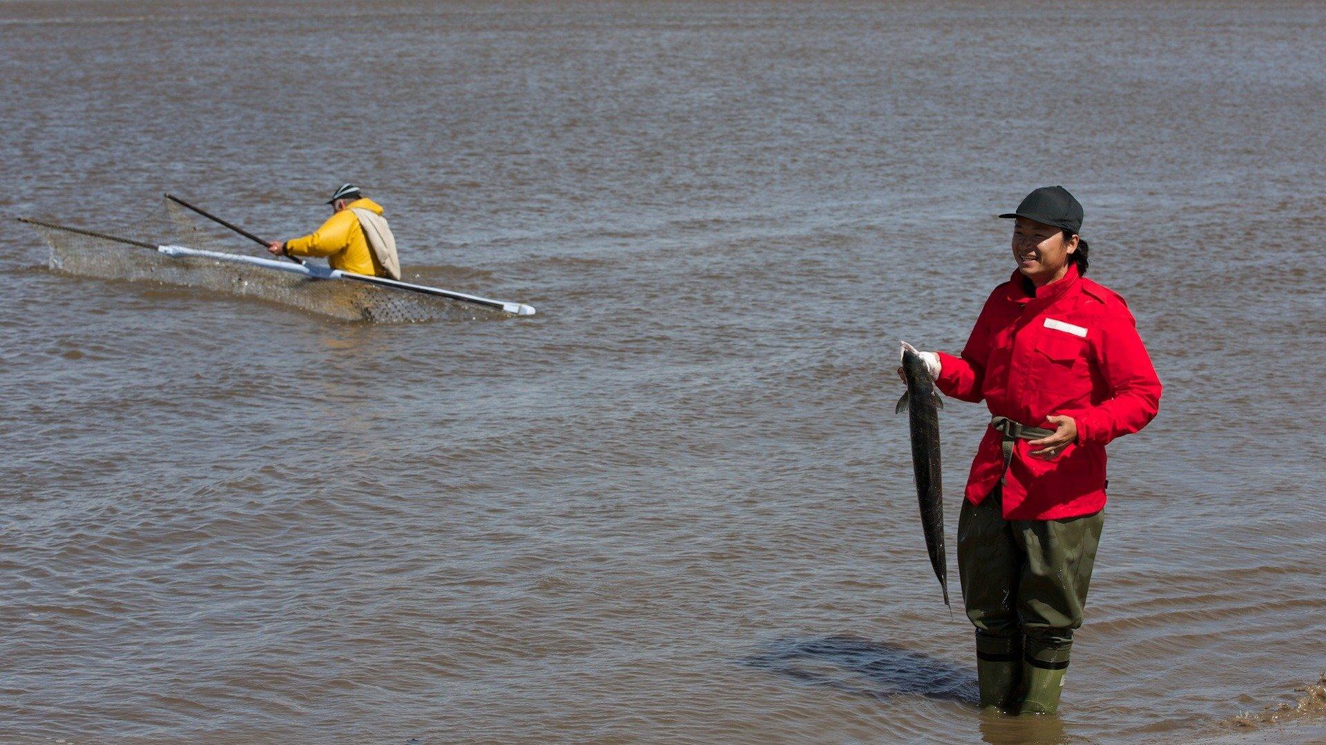 Luke Nguyen's United Kingdom: Viking Net Fishing