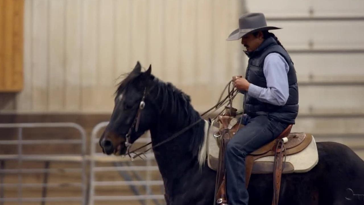 Ultimate Cowboy Showdown: Heart of a Champion