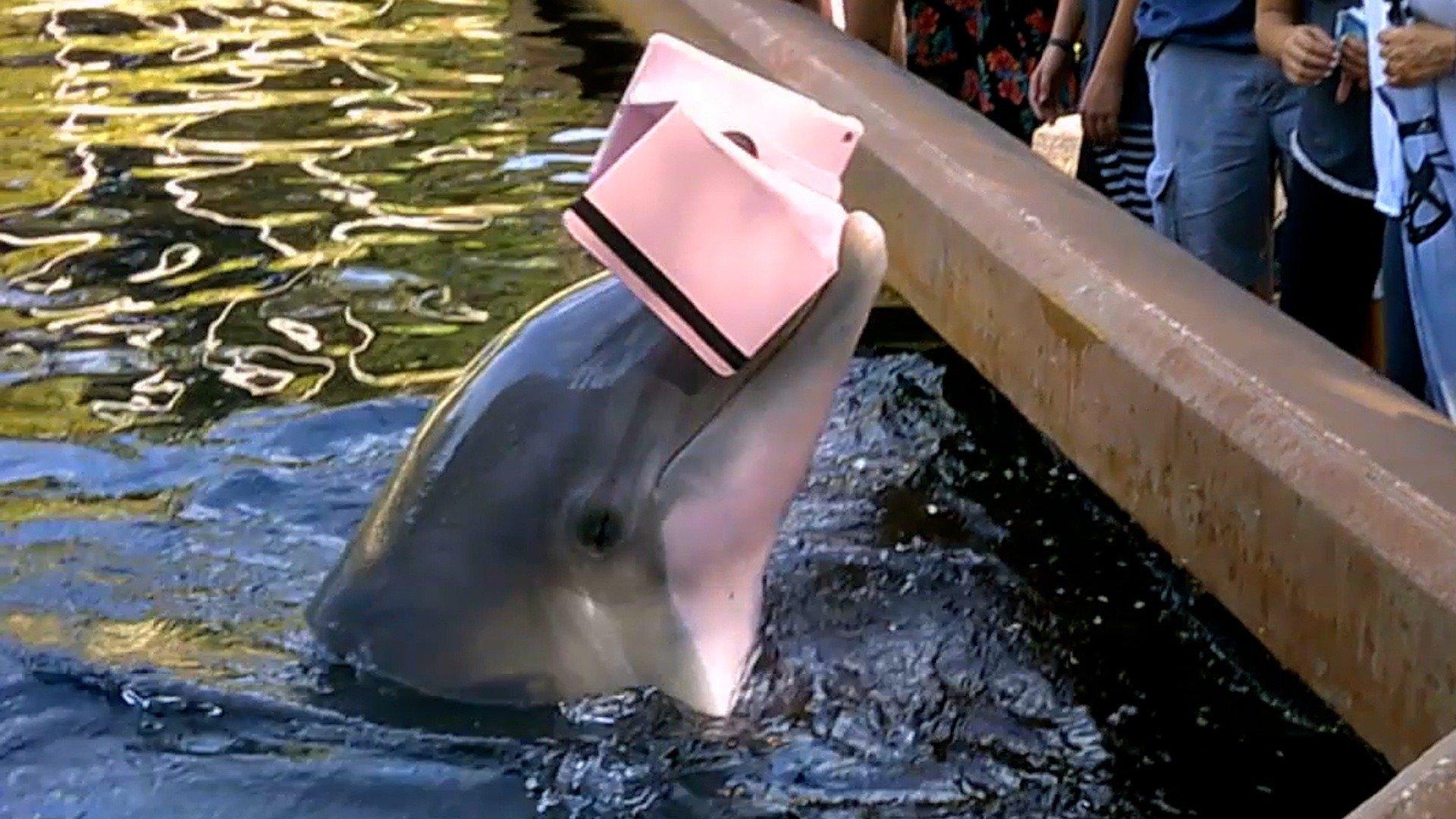 World's Most Expensive Fails: Date Night