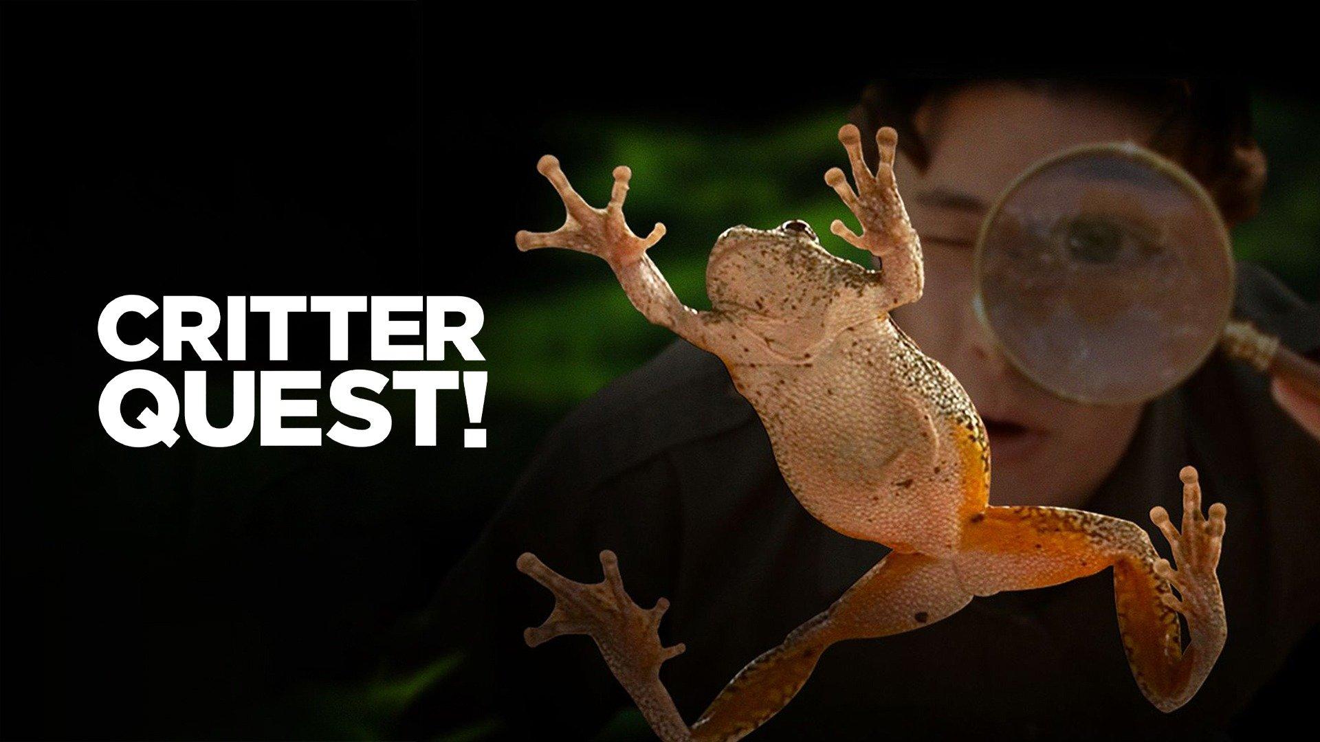 Watch Critter Quest! Streaming Online on Philo (Free Trial)