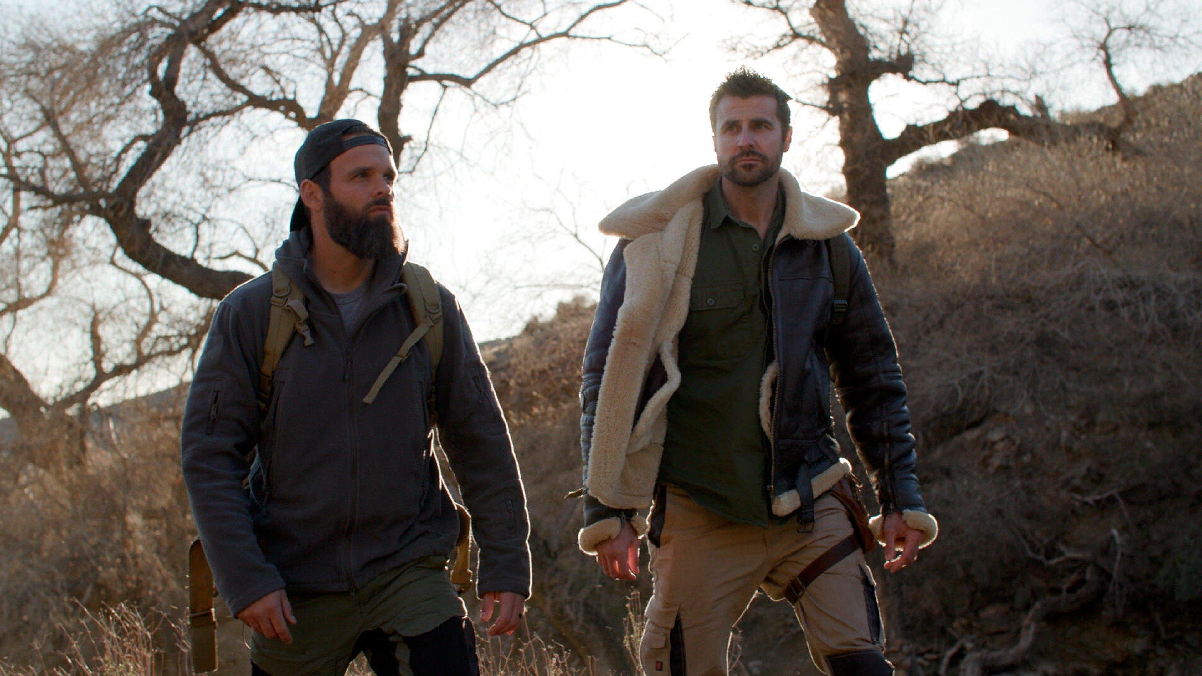 Kings of Pain: Stinging Sharks