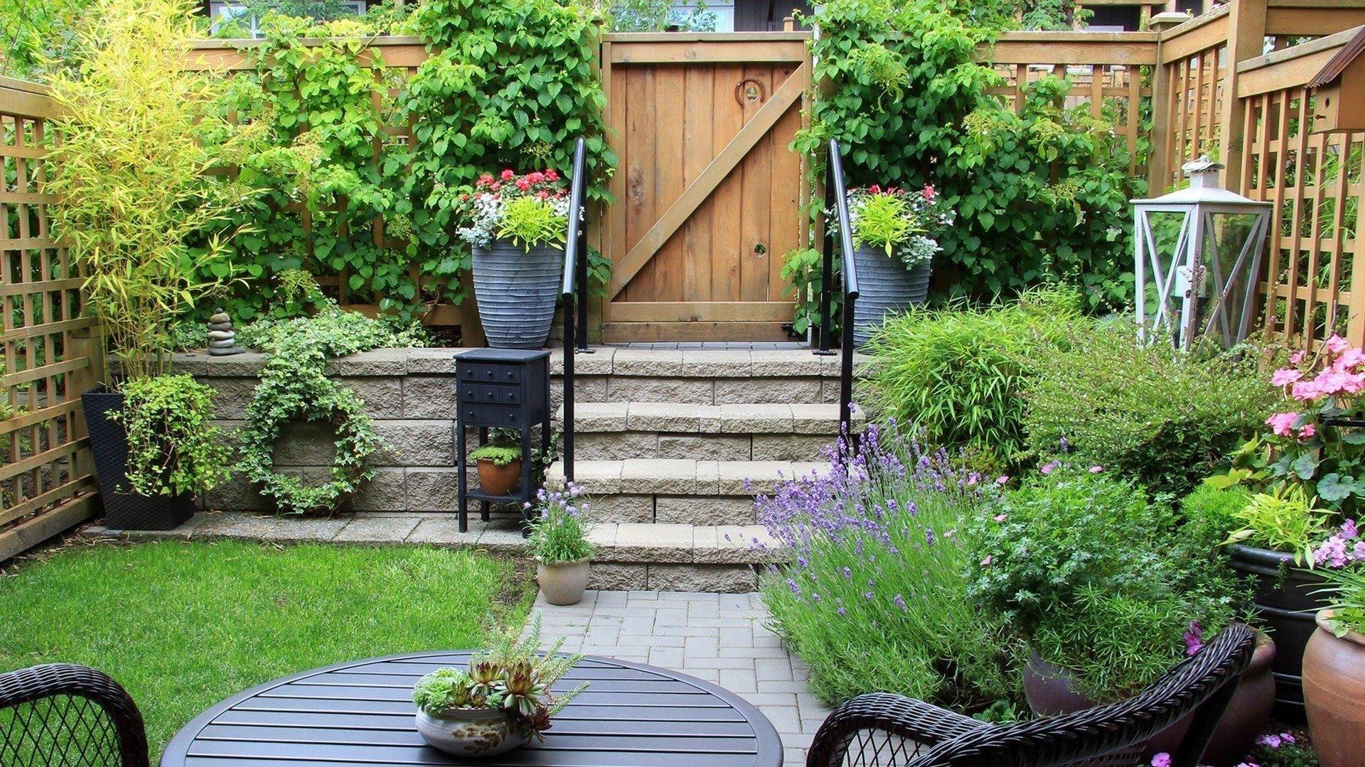 Watch Patio & Garden Sale & Clearance Streaming Online on Philo (Free ...