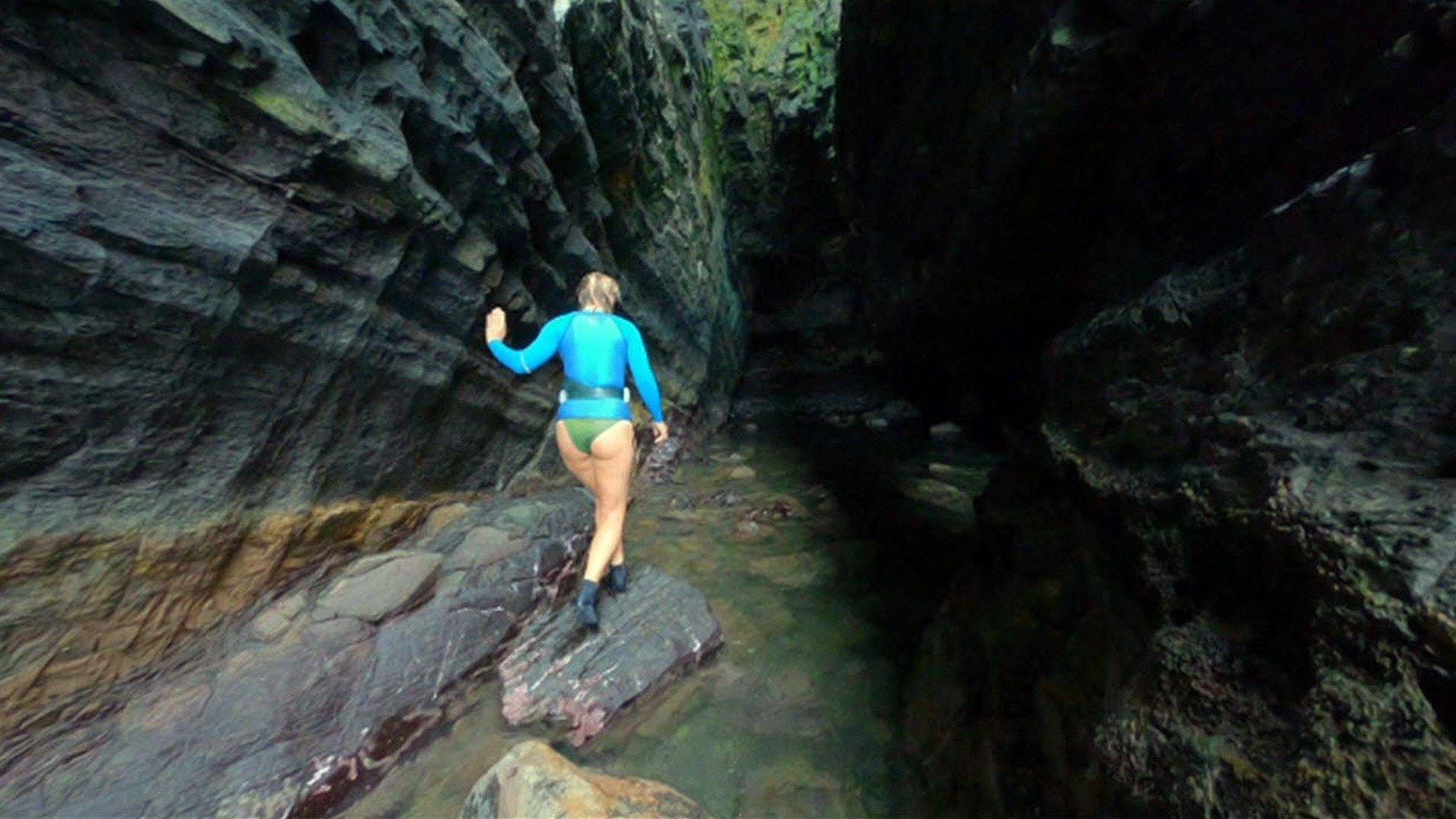 Bluewater Safari: Free For All