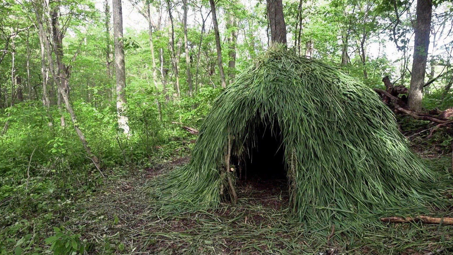 Alone: The Skills Challenge: Earth Shelter