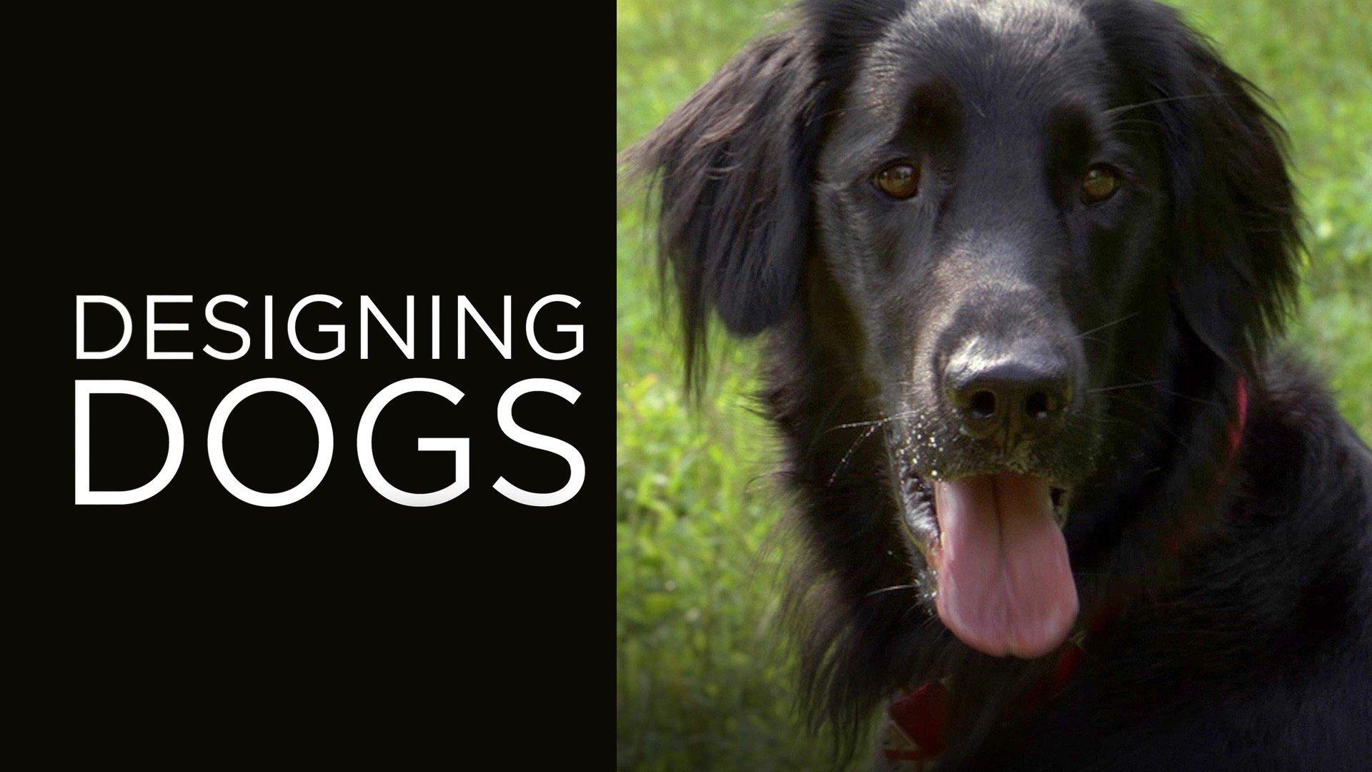 Watch Designing Dogs Streaming Online on Philo (Free Trial)