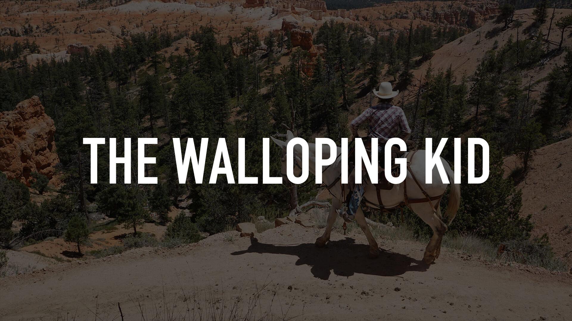 Watch The Walloping Kid Streaming Online on Philo (Free Trial)