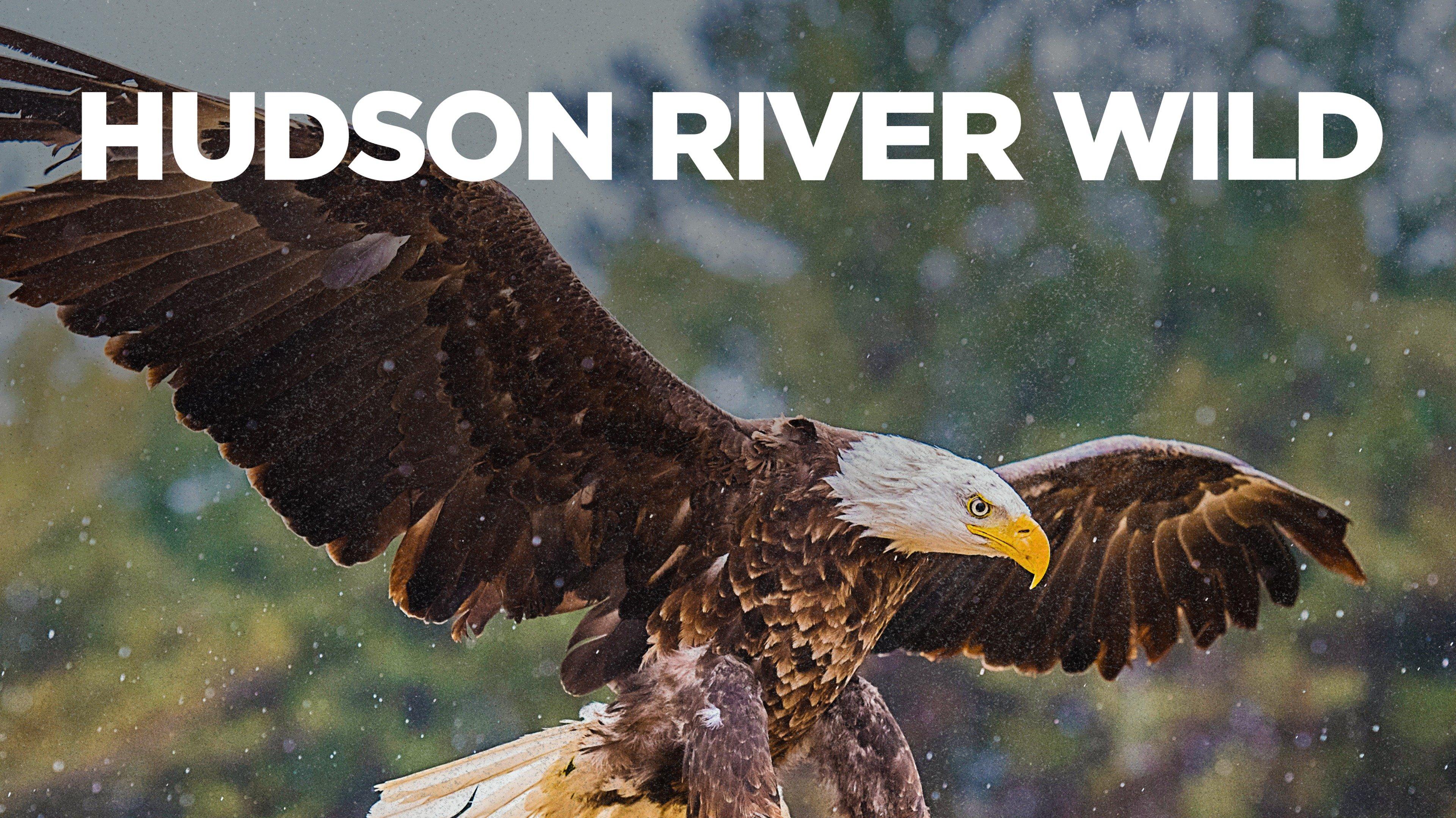 Watch Hudson River Wild Streaming Online on Philo (Free Trial)