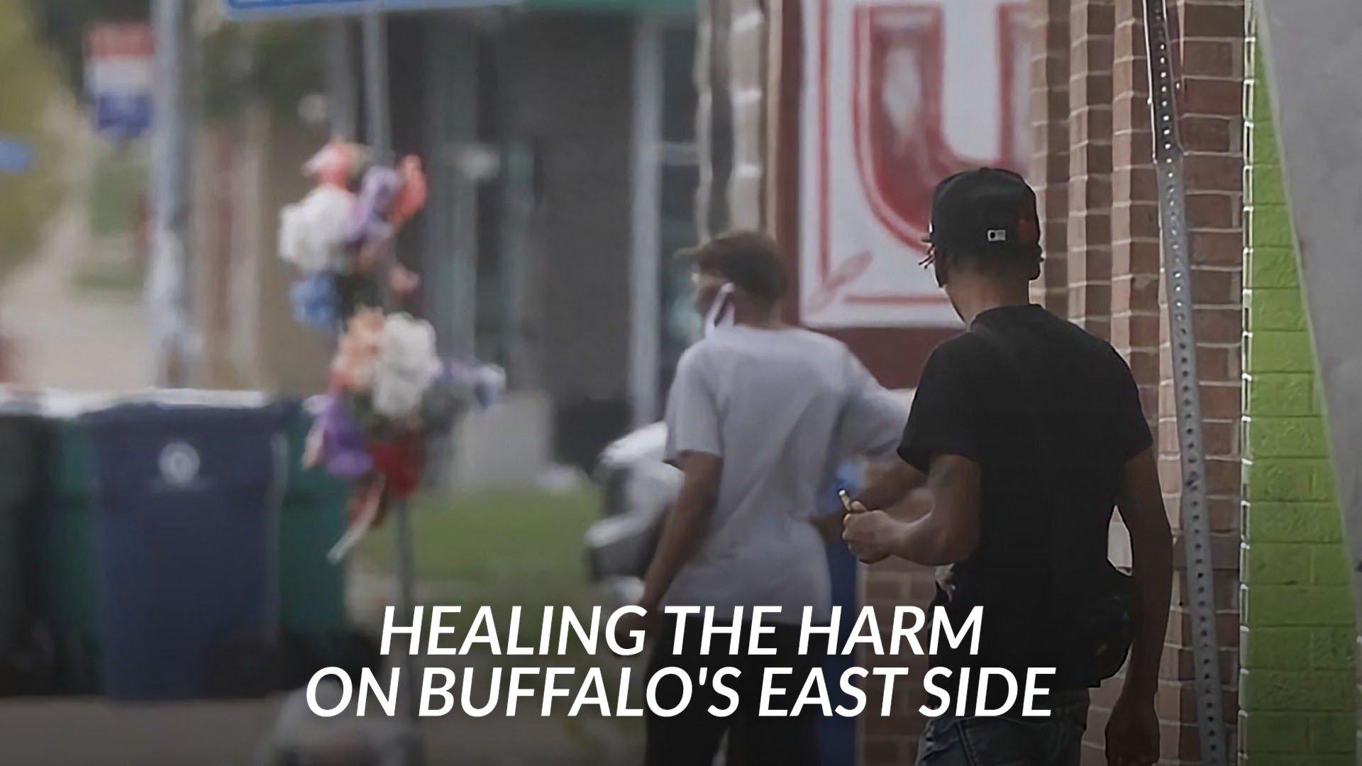 Watch Healing the Harm on Buffalo's East Side Streaming Online on Philo ...