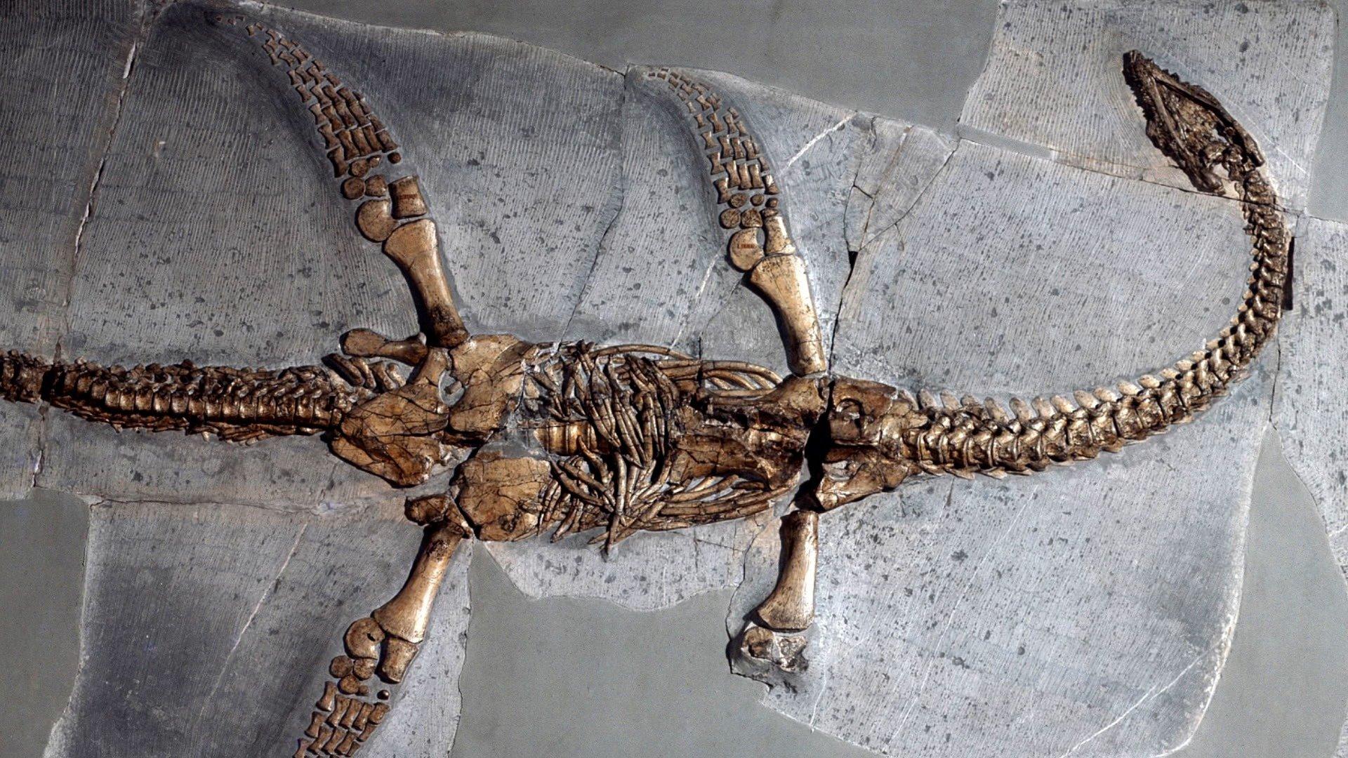 History's Greatest Mysteries: The Loch Ness Monster