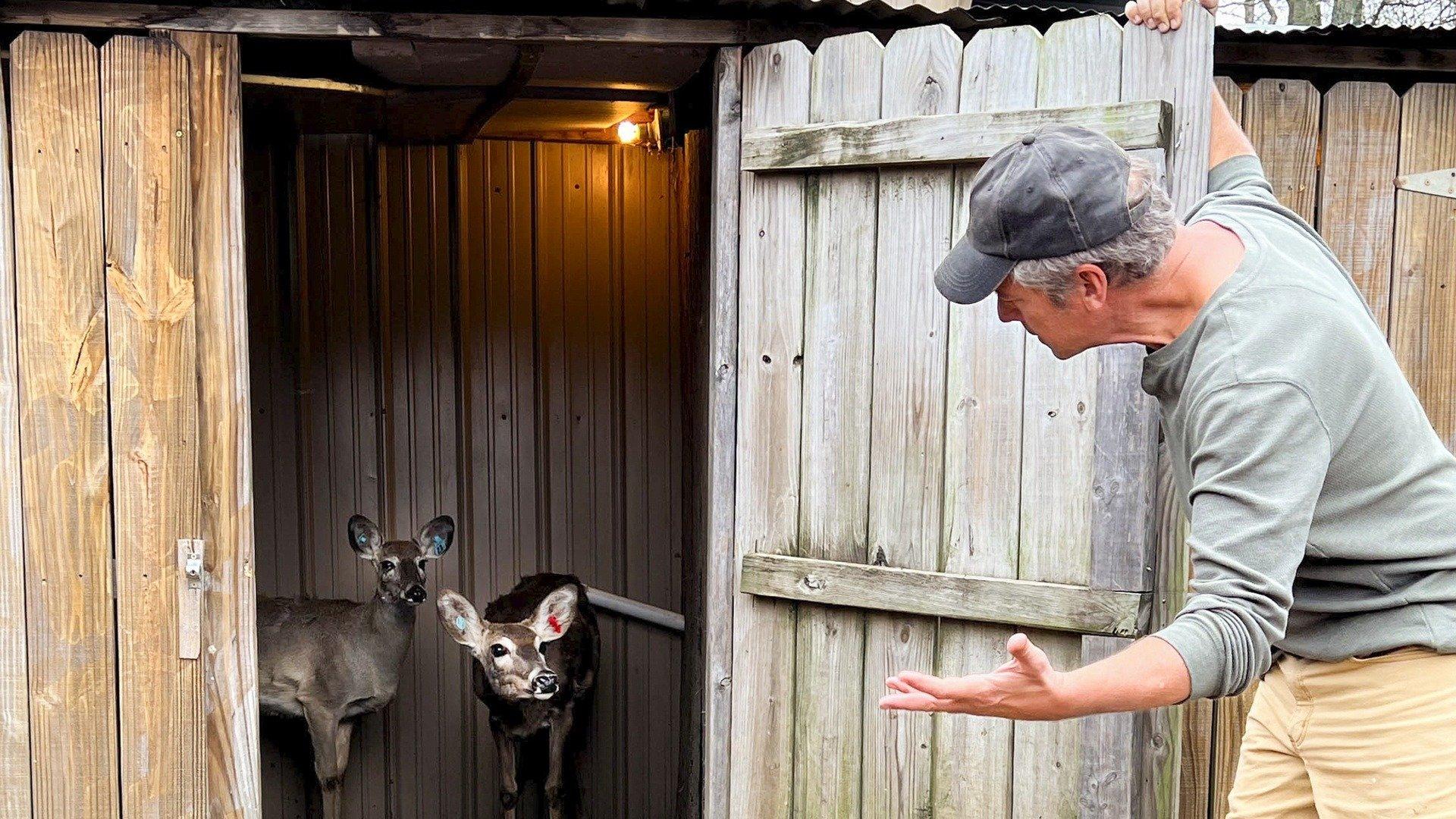 Dirty Jobs: Deer Urine Farmer; Necropsy