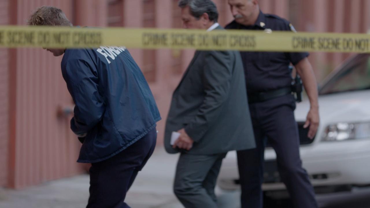 PAYBACK: Timera Branch