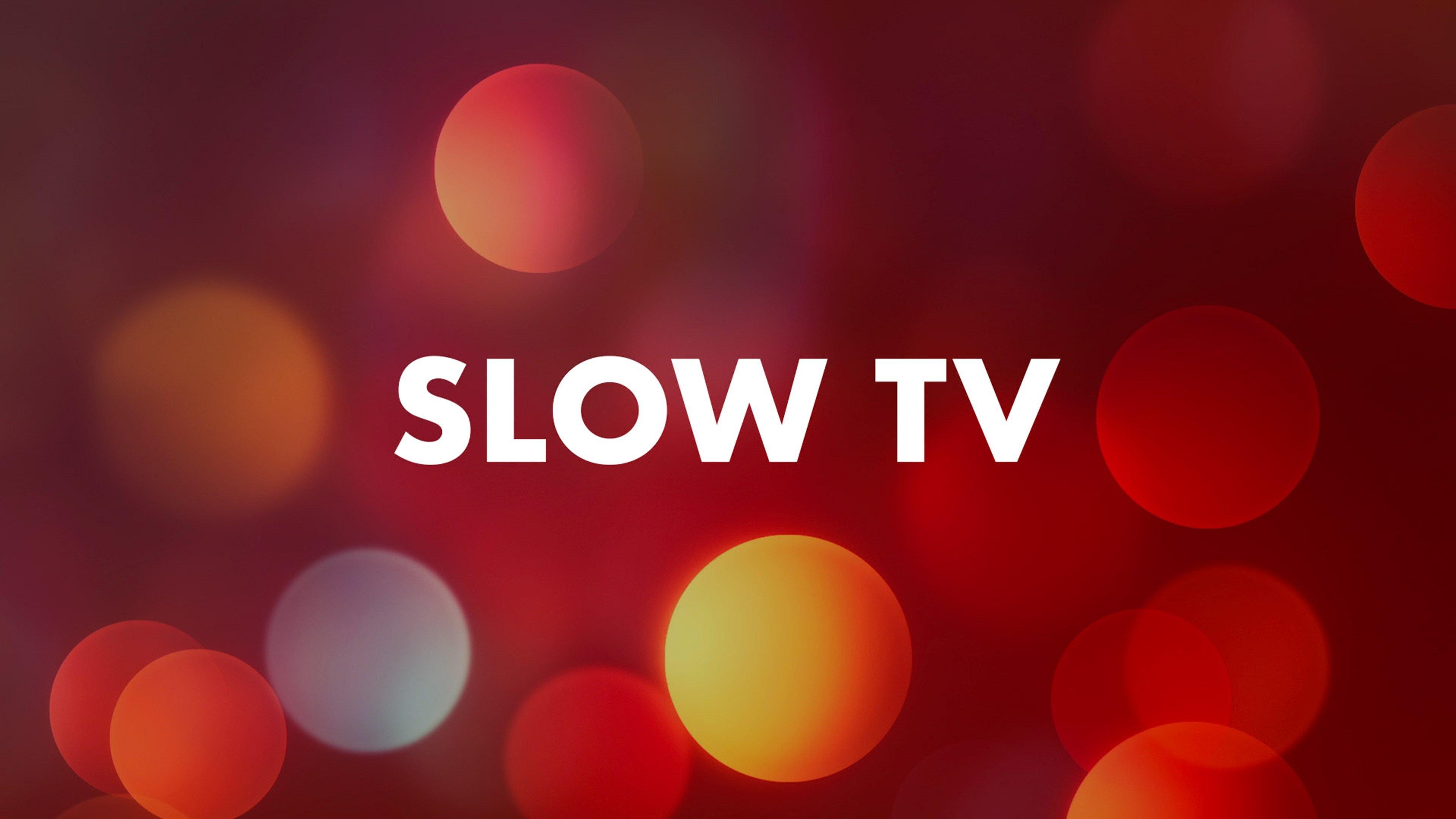 Watch Slow TV Streaming Online on Philo (Free Trial)