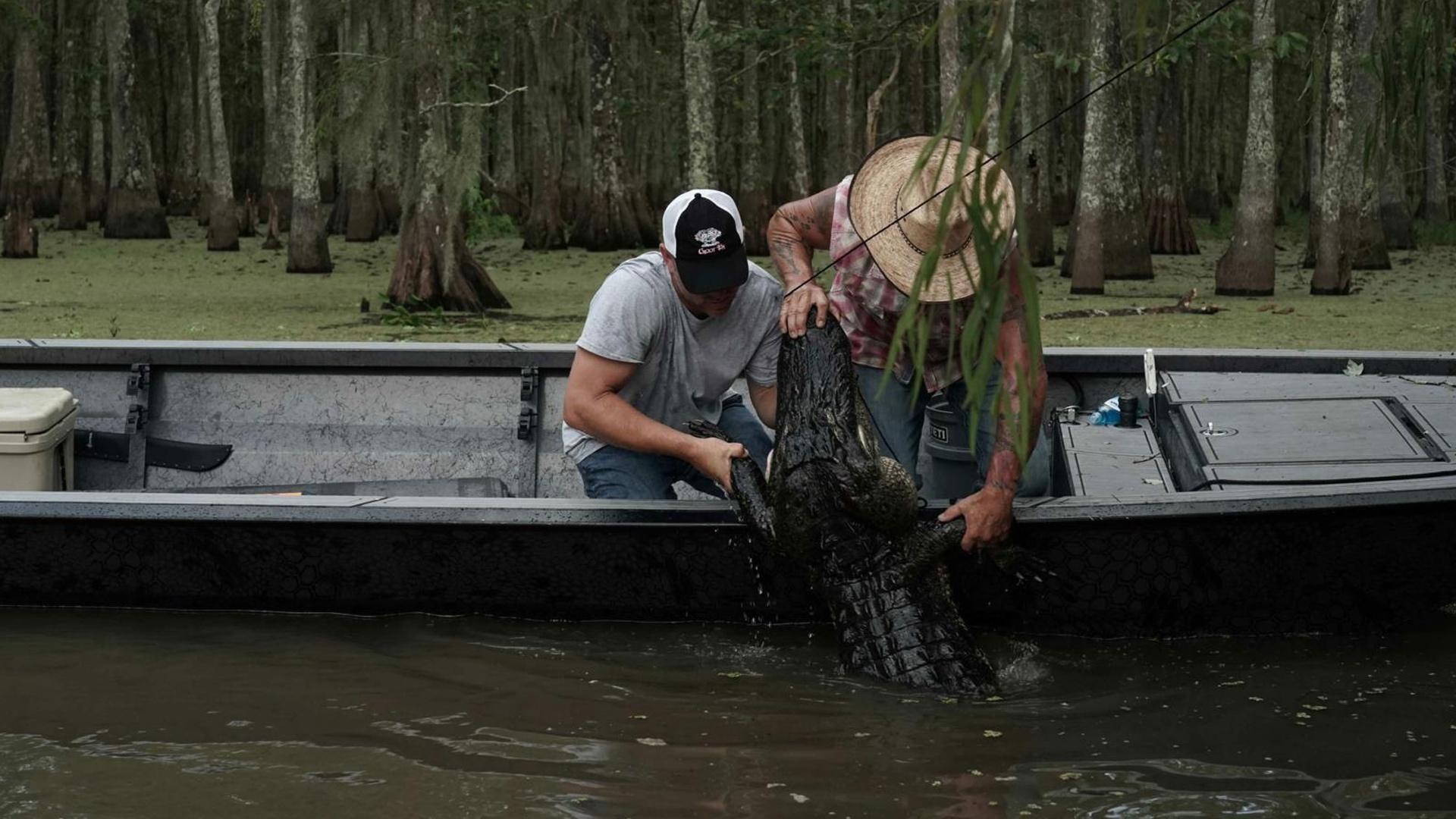 Swamp People: Pirate Cursed Gators