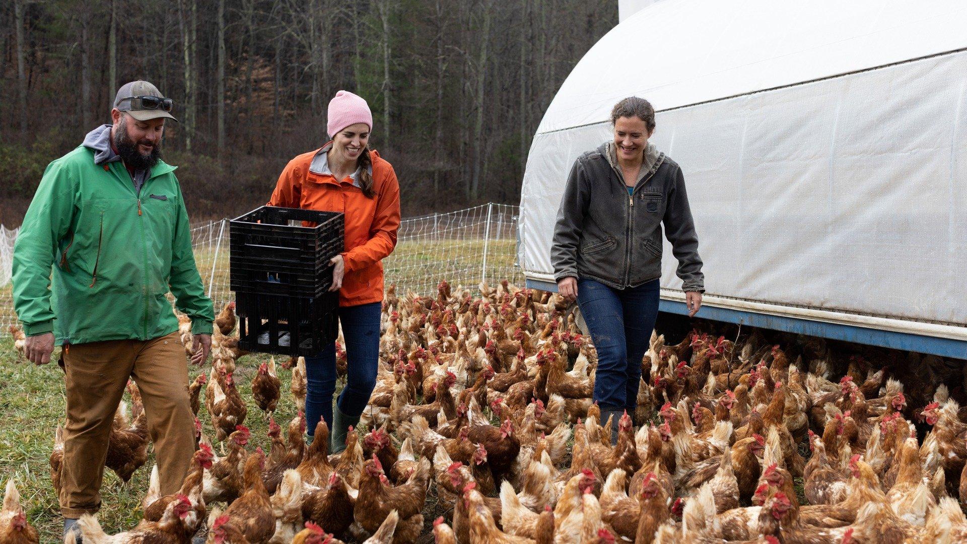 From the Source: Eggs