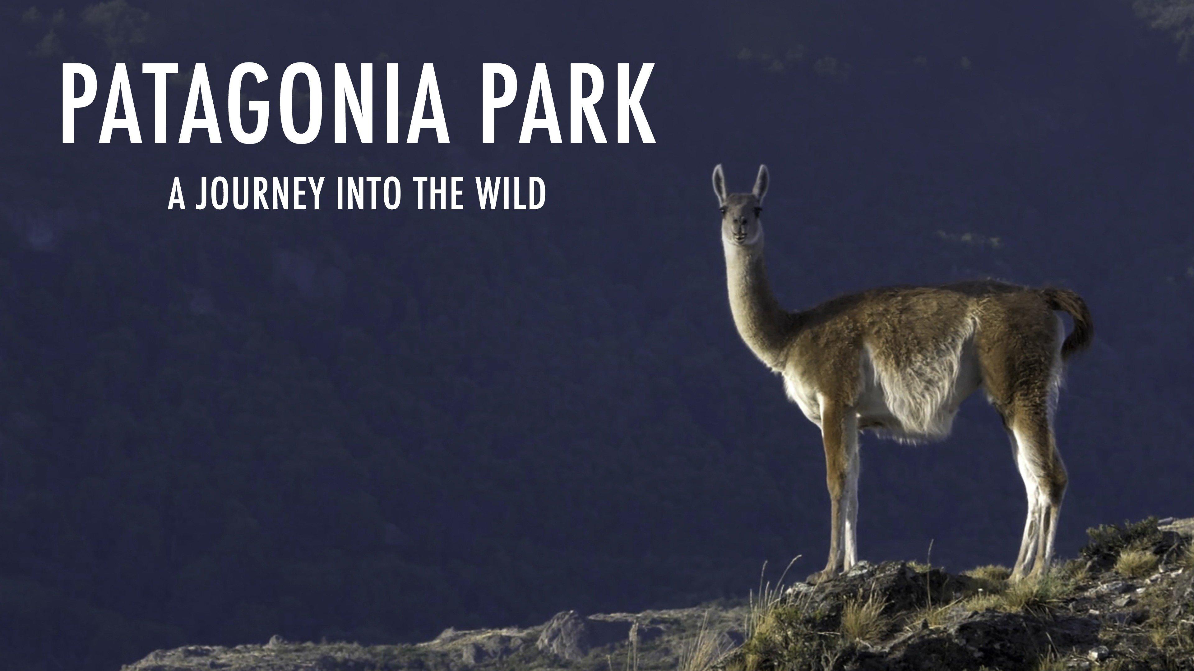 Watch Patagonia Park: A Journey Into the Wild Streaming Online on Philo ...