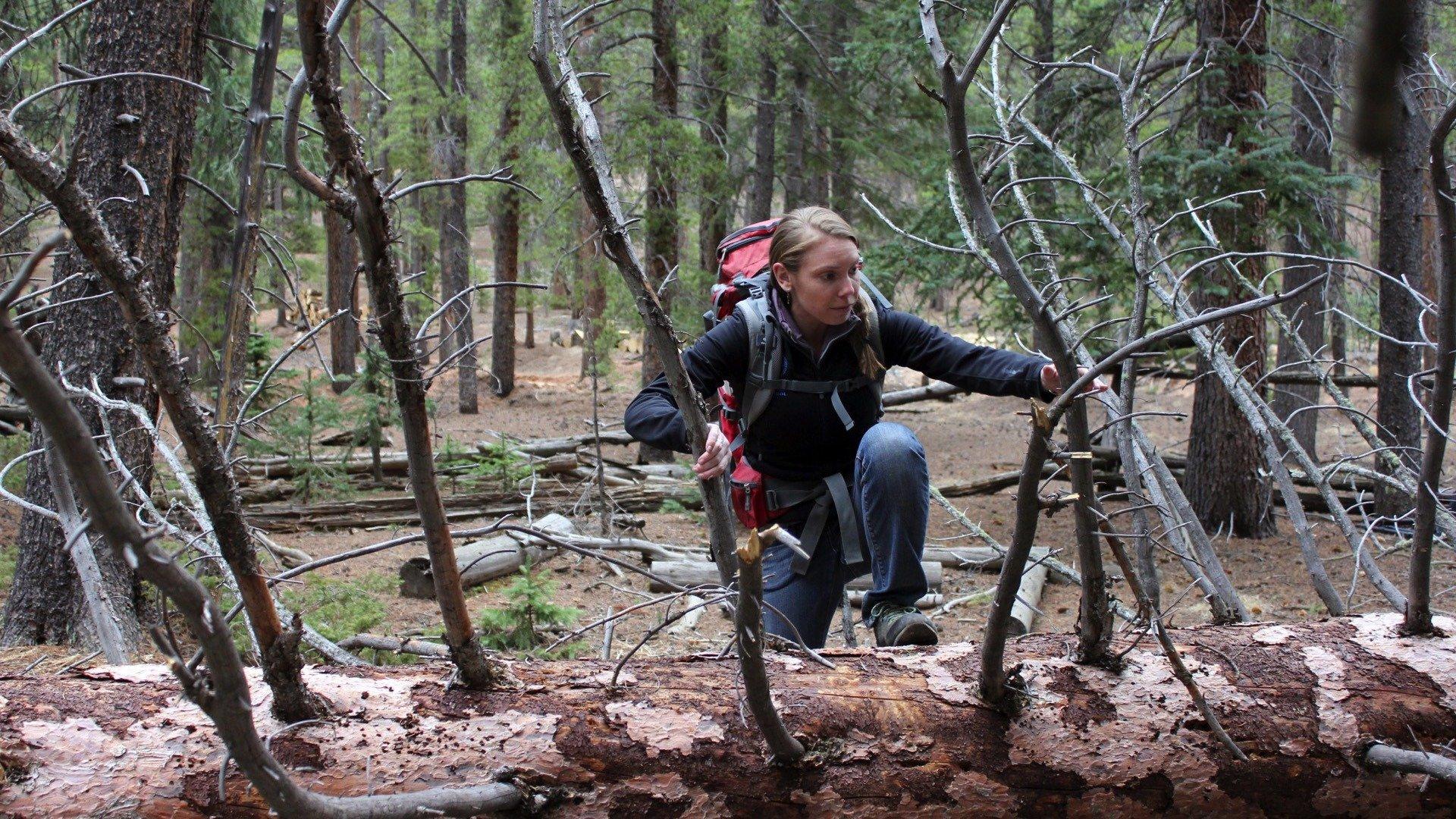 Outside Learn: Backpacking: Navigation Essentials Demystified