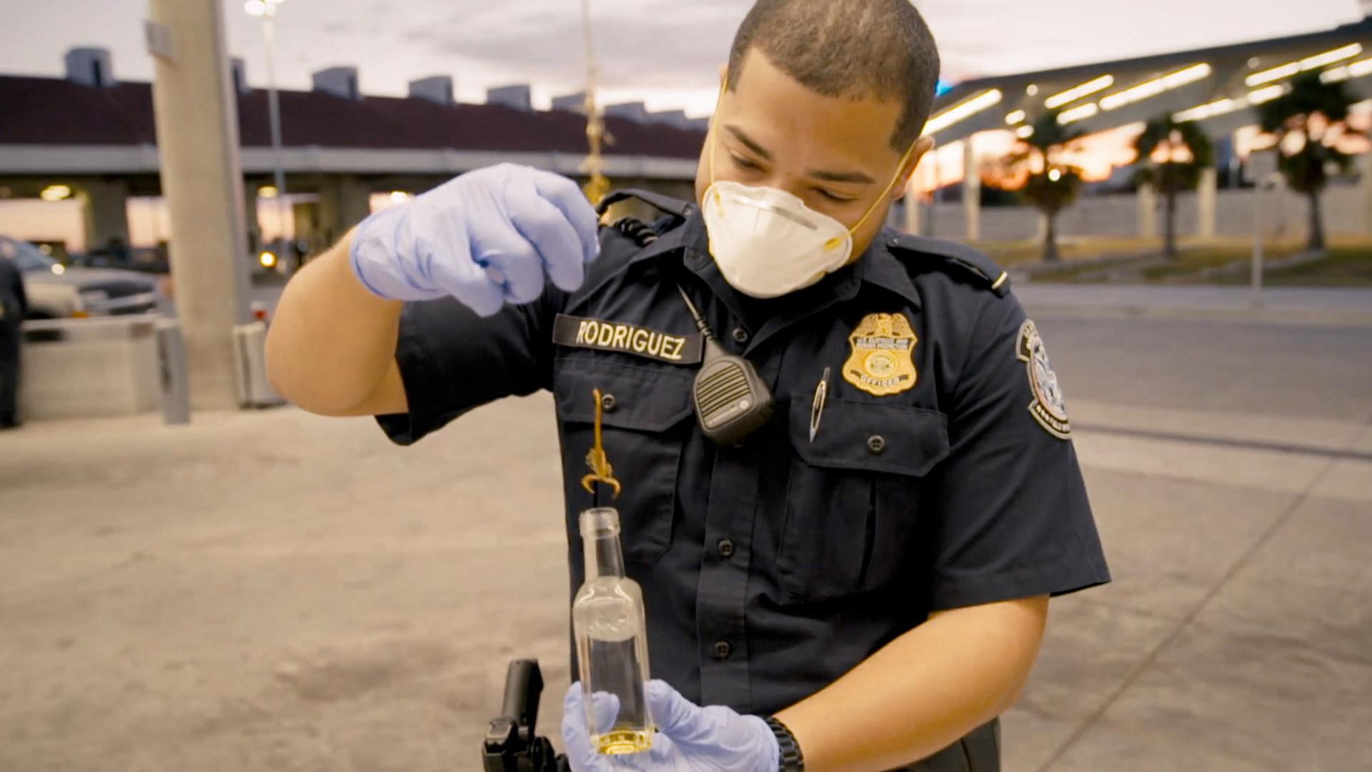 Contraband: Seized at the Border: Wheels on the Bus