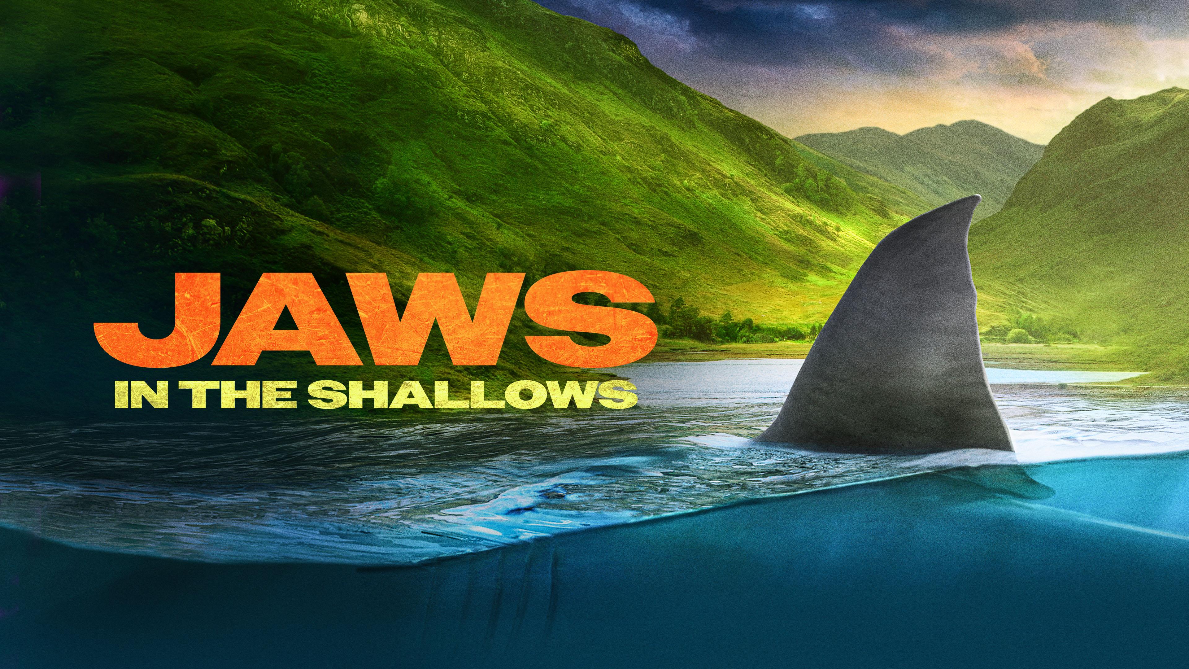 Watch Jaws in the Shallows Streaming Online on Philo (Free Trial)