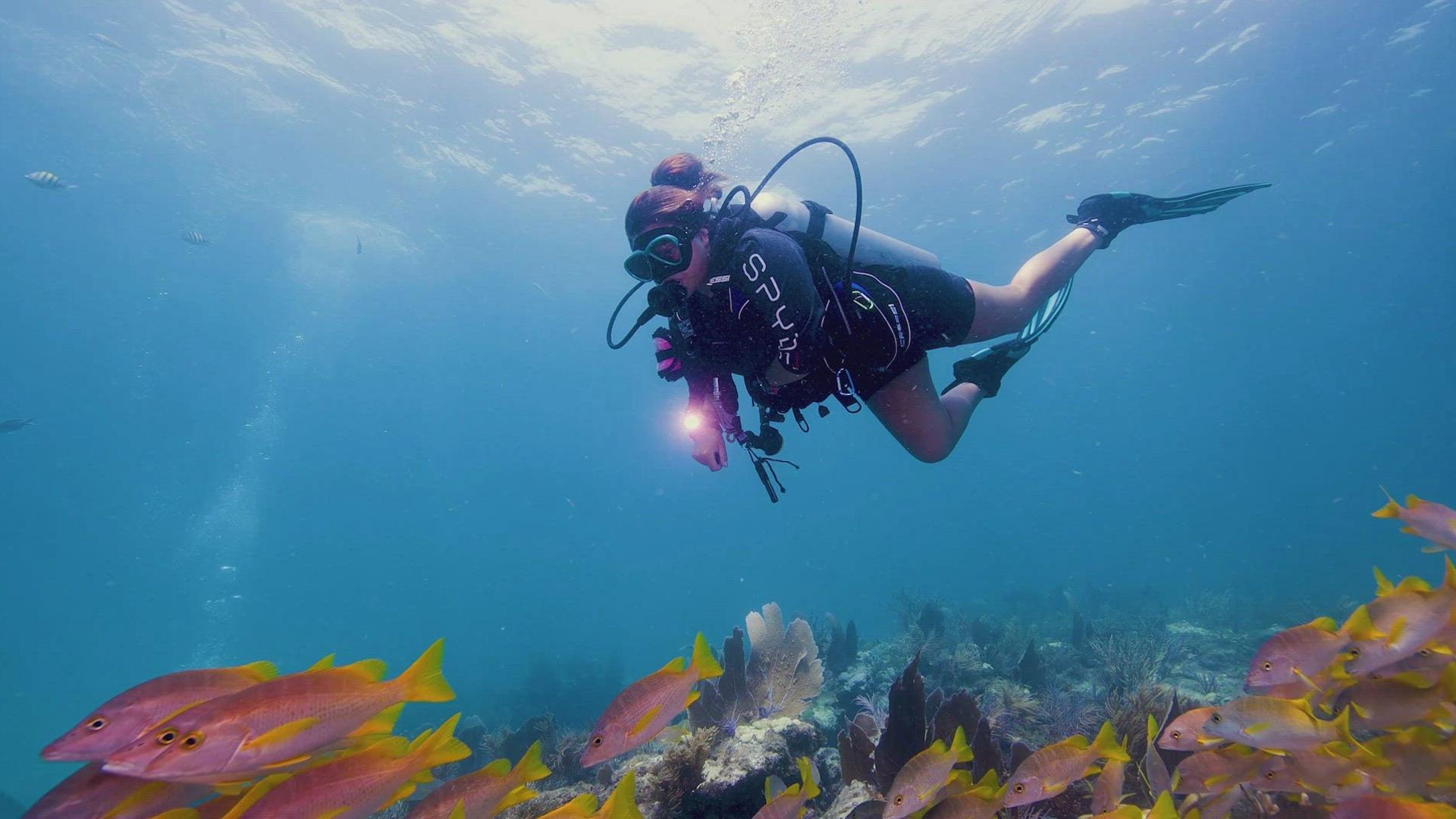 Destination Dive: Islamorada