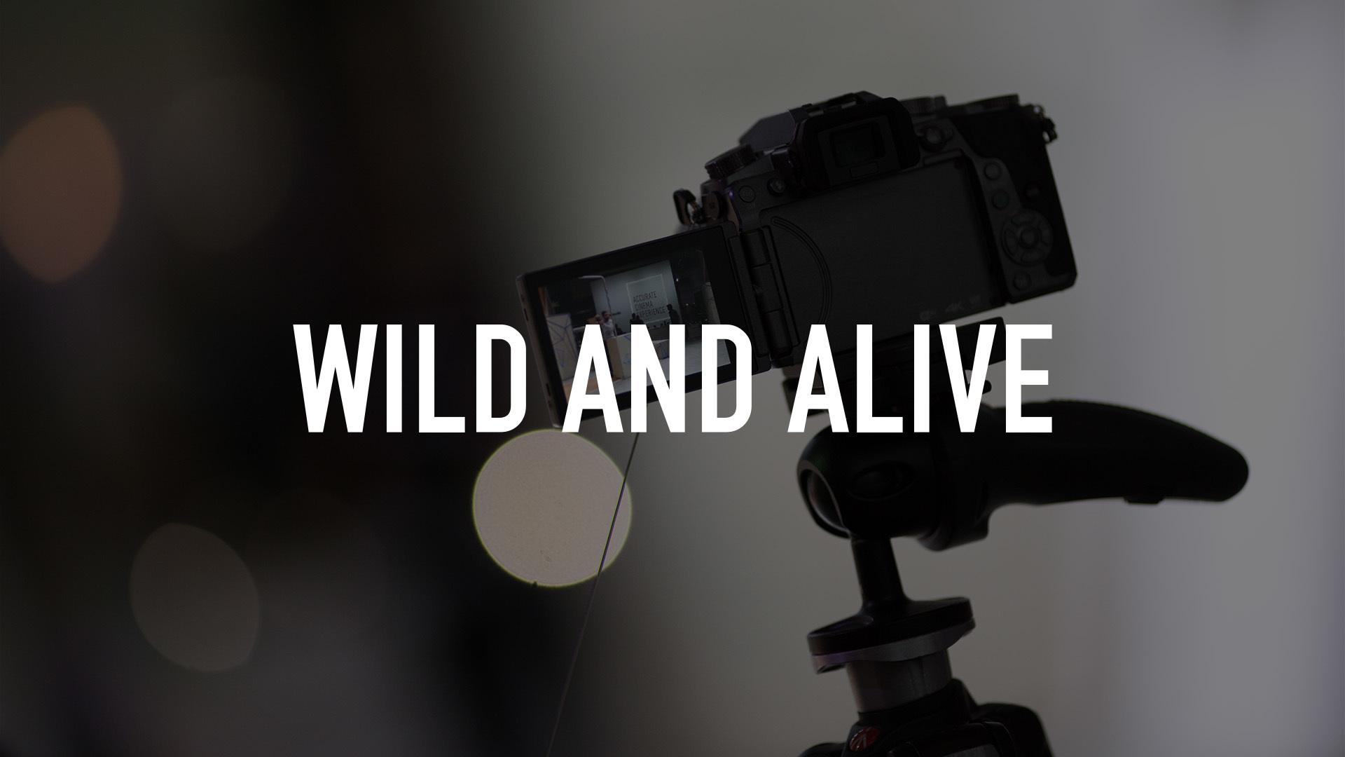 Watch Wild and Alive Streaming Online on Philo (Free Trial)