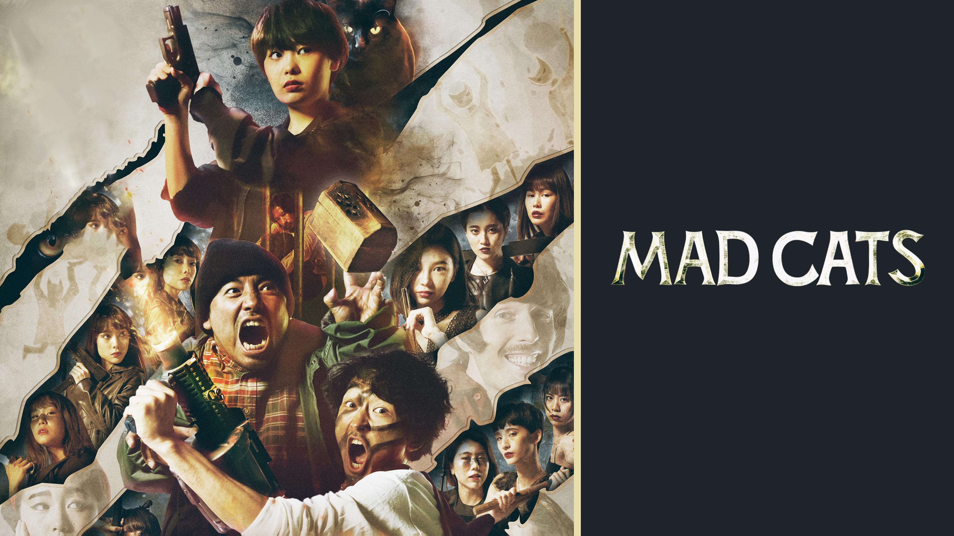 Watch Mad Cats Streaming Online on Philo (Free Trial)