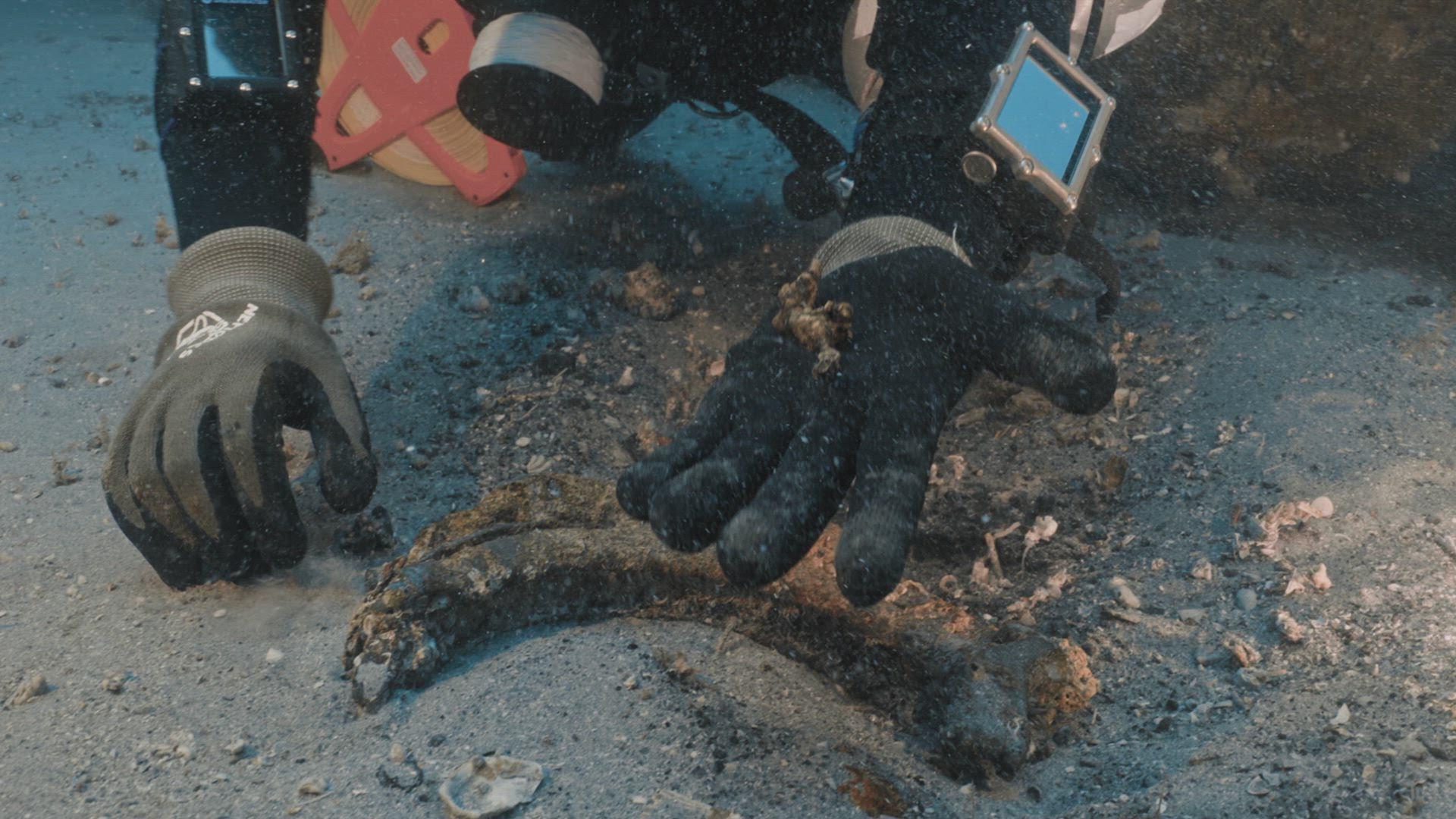 The Bermuda Triangle: Into Cursed Waters: Bermuda Triangle's First Blood