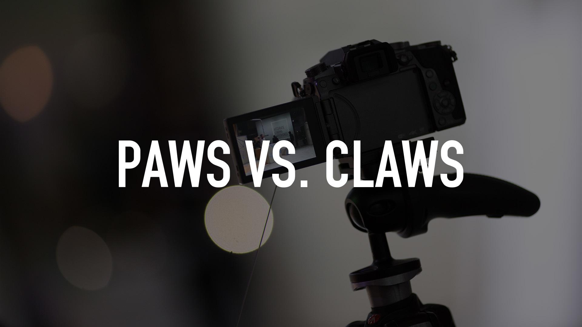 Watch Paws VS. Claws Streaming Online on Philo (Free Trial)