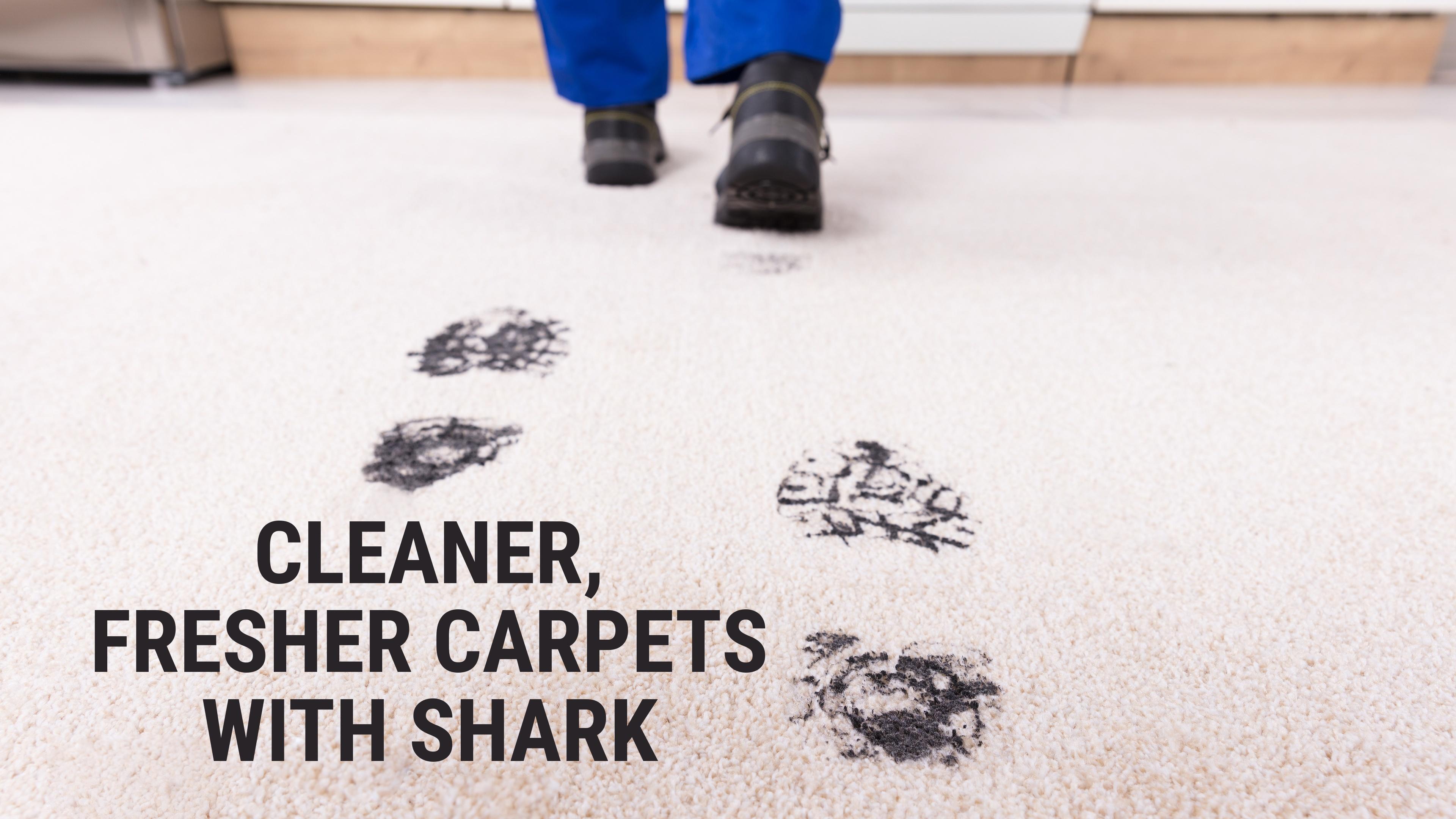 Watch Cleaner, Fresher Carpets with Shark Streaming Online on Philo ...