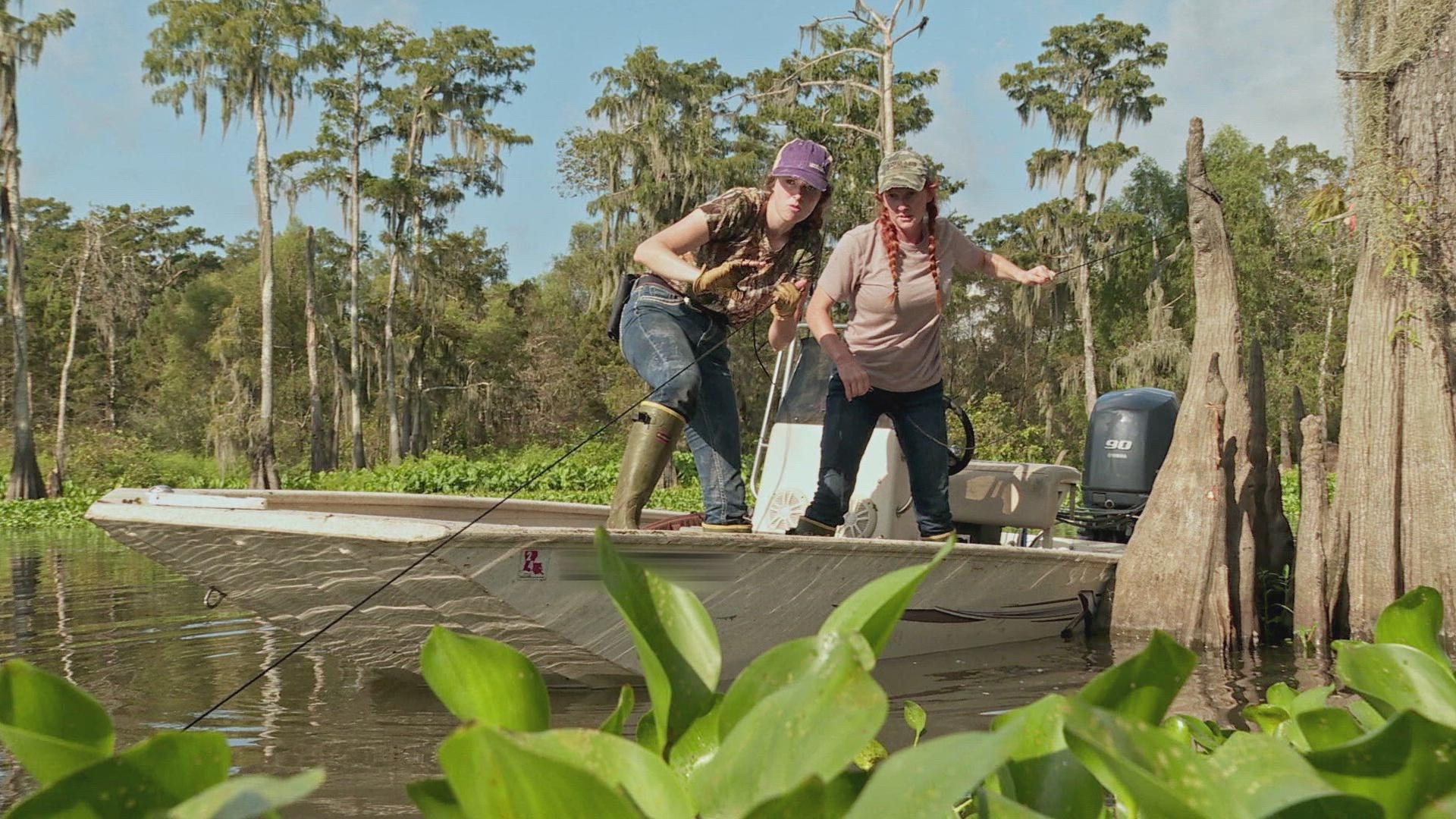 Swamp People: Gator Stakes