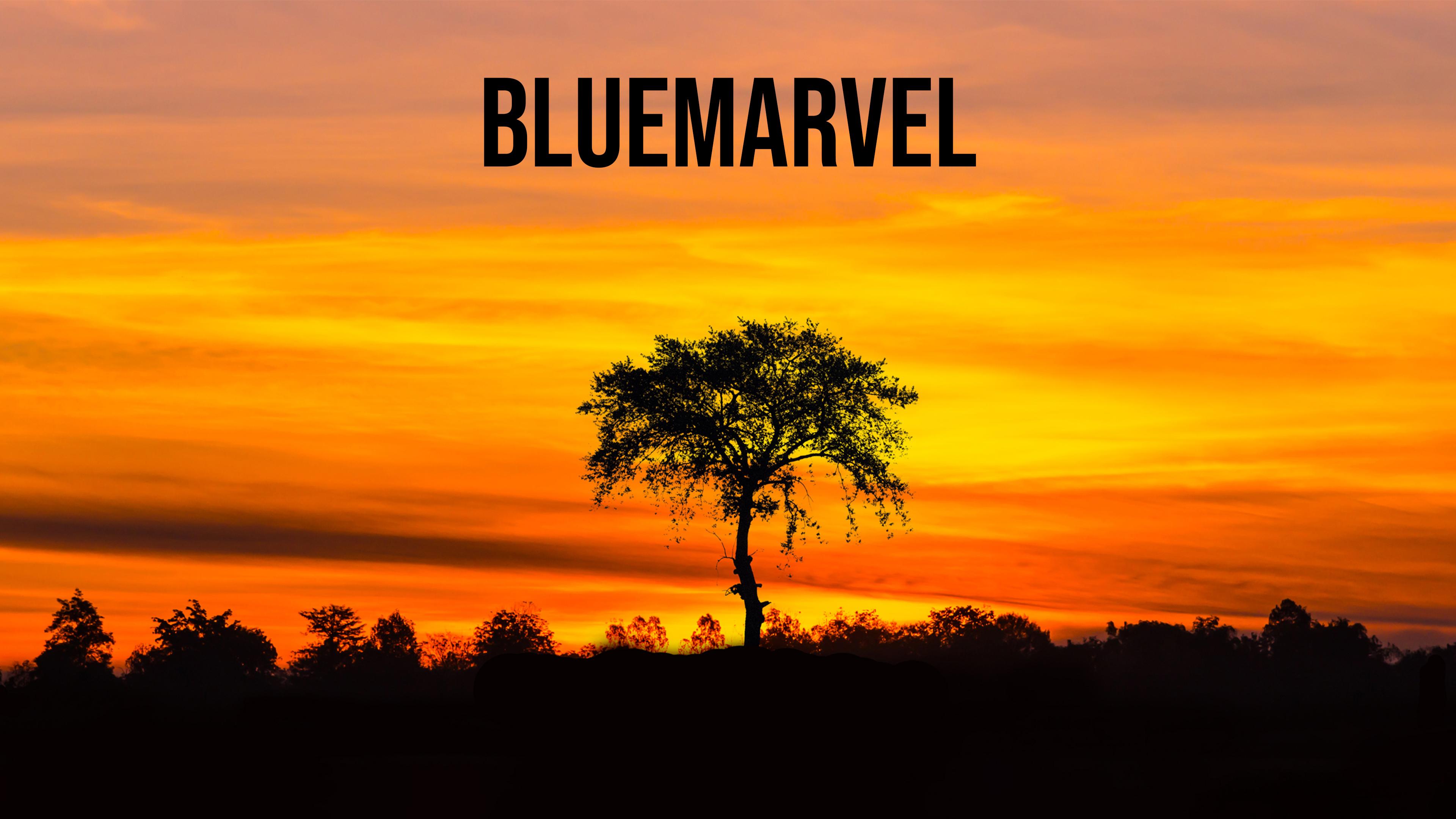 Watch BlueMarvel: S1E22 - Block Island Wind on Philo (Free Trial)