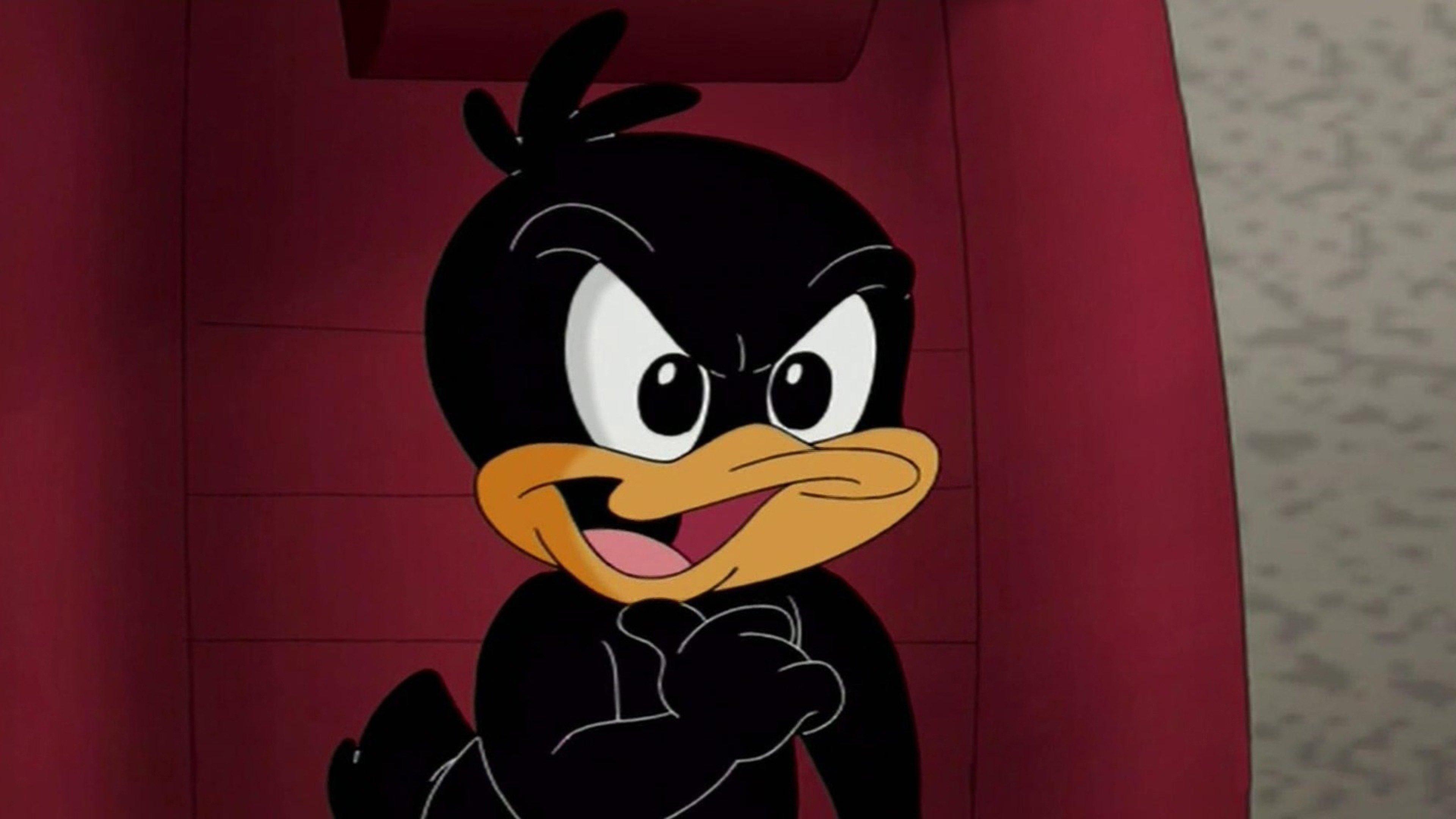 Baby Looney Tunes: The Dolly Vanishes; Duck's Reflucks